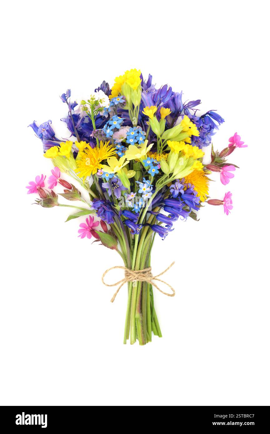 Seasonal optimism Cut Out Stock Images & Pictures - Alamy