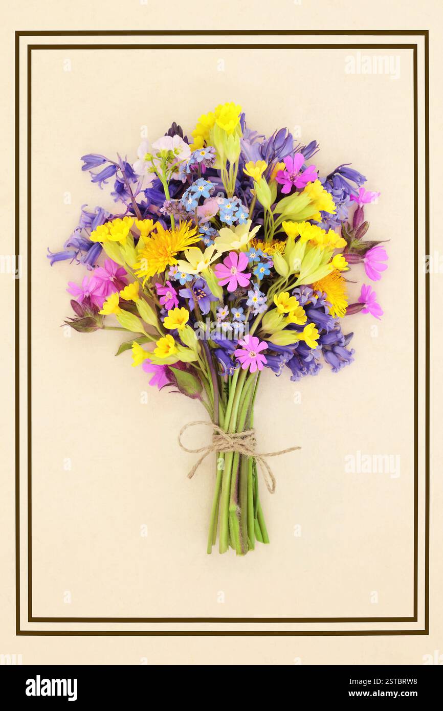 Spring wildflower bouquet background border. Springtime floral bouquet ...