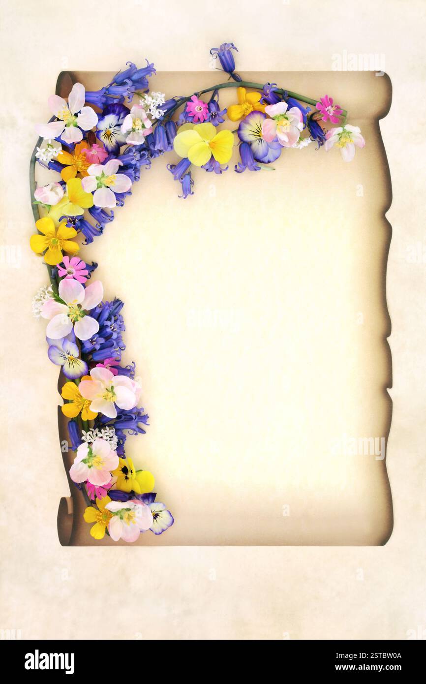 Spring flower and blossom border on faded paper scroll and parchment ...