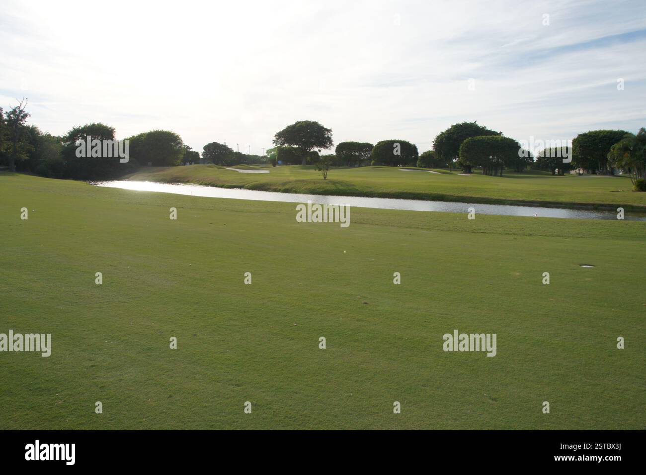 A scenic view of a Miami golf course with a sparkling pond and mature ...