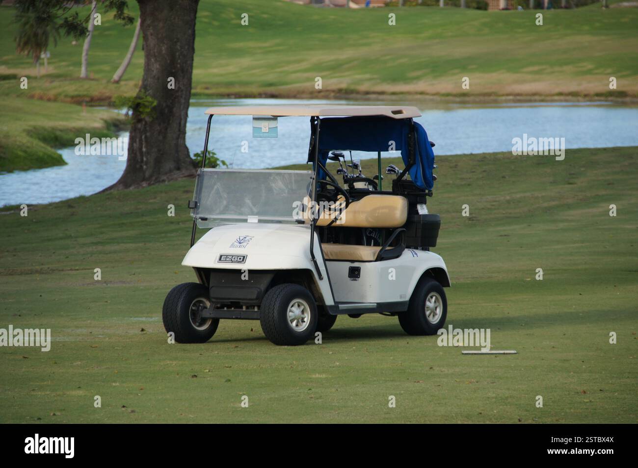 Couples golf miami hi-res stock photography and images - Alamy