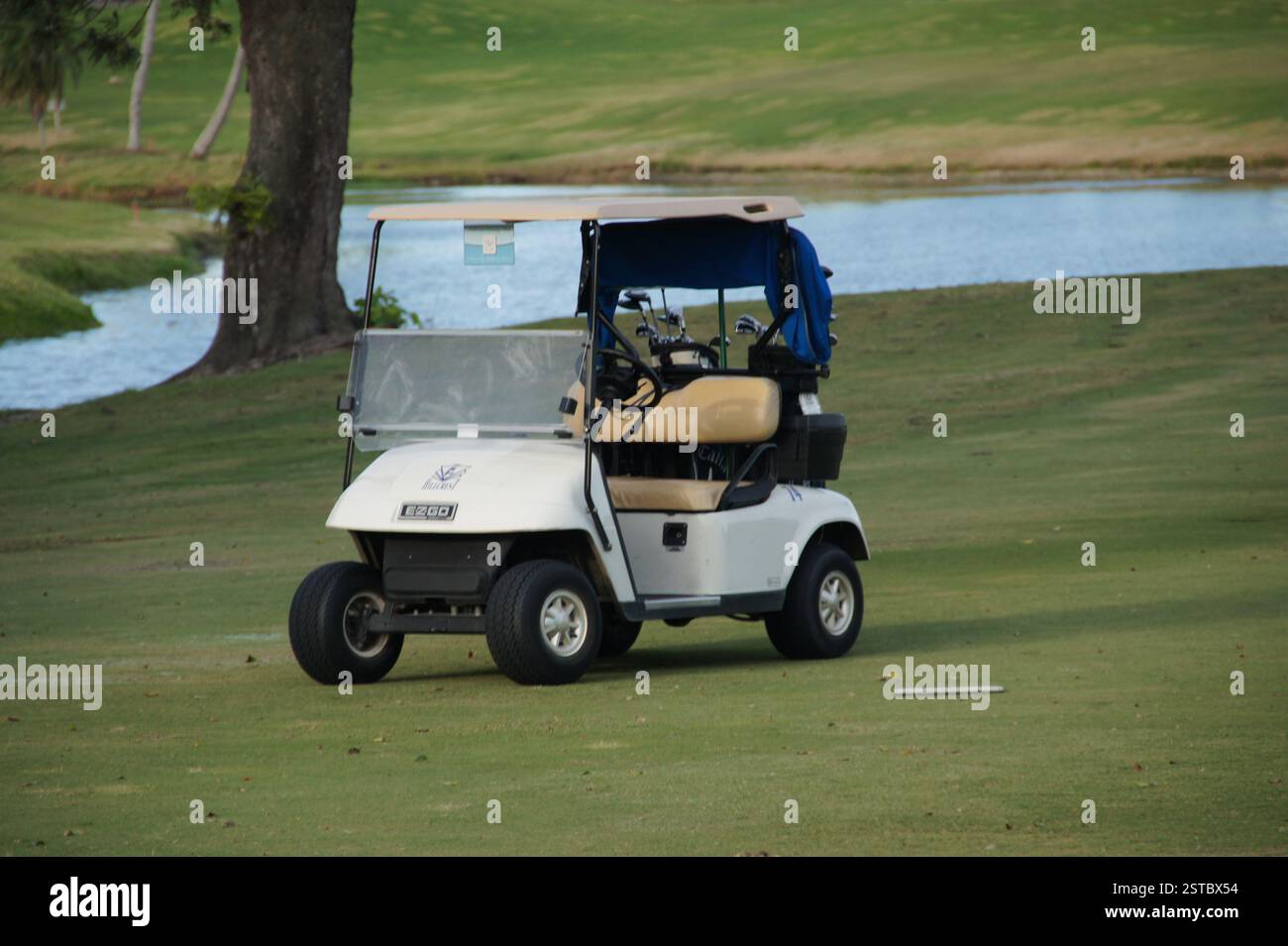 A white golf cart sits parked on a fairway in Miami, bathed in warm ...