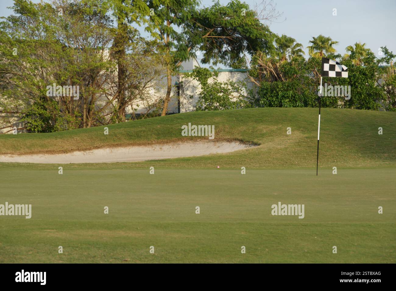 A checkered flag, familiar from the racetracks of Miami, stands ...