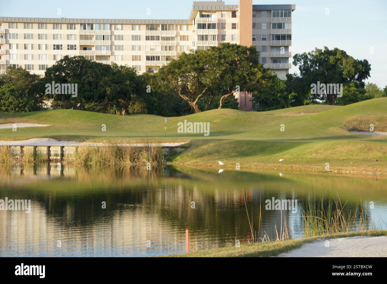 Stay and play miami golf hi-res stock photography and images - Alamy