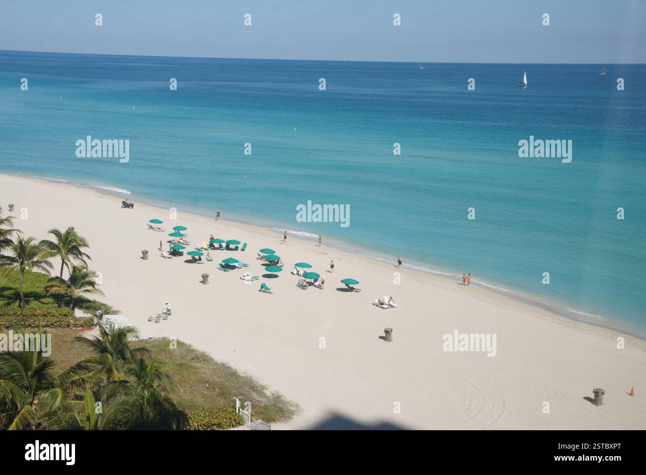 Miami beachfront hotel with balconies offering stunning views of palm ...