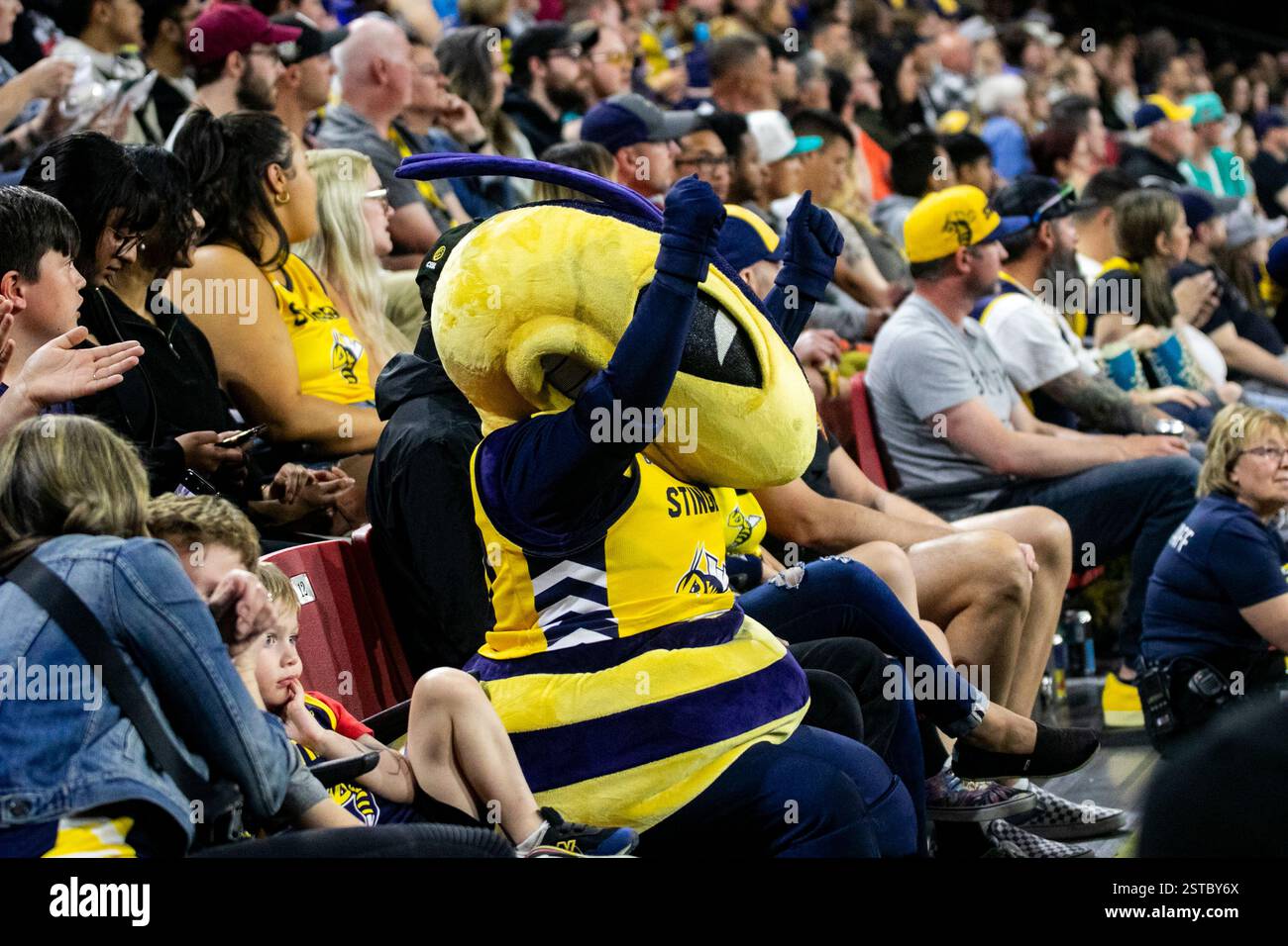 Edmonton, Canada. 12th June, 2022. Edmonton Mascott Buzz seen cheering ...