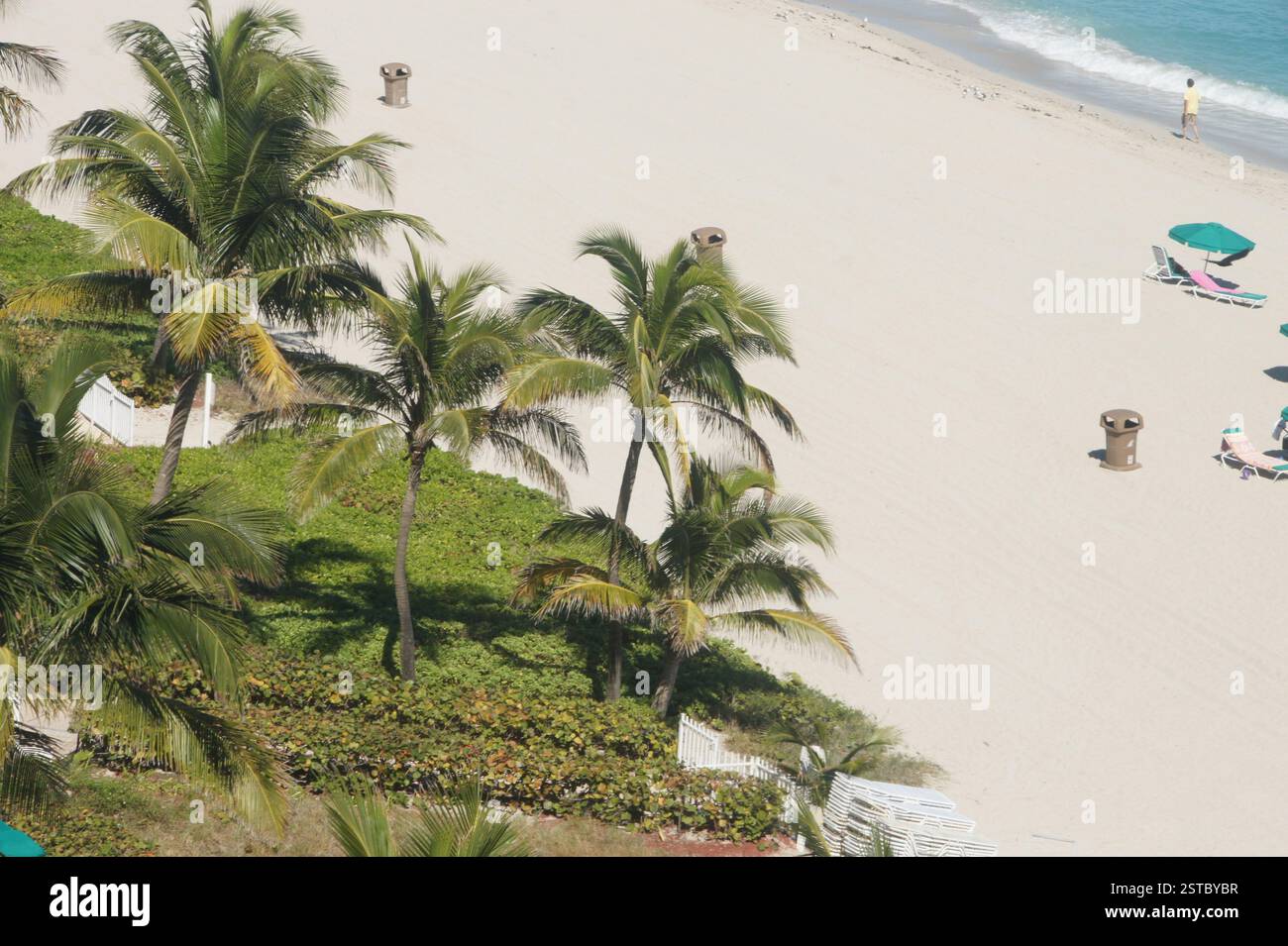 Miami's sandy beach stretches out with swaying palm trees. Lounge ...