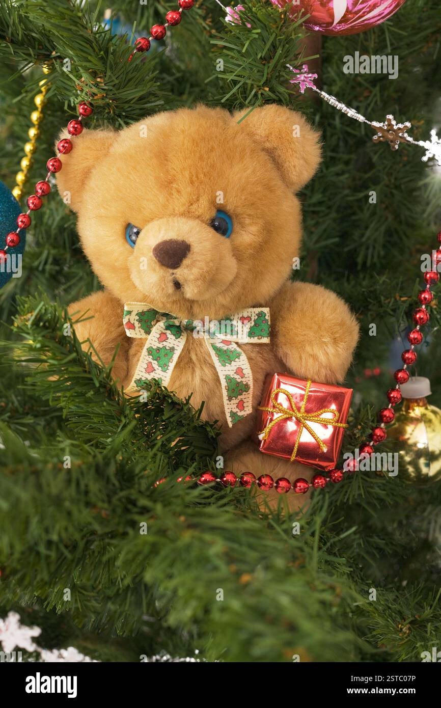 Plush toy bear in the banch of cristmas tree hi-res stock photography ...