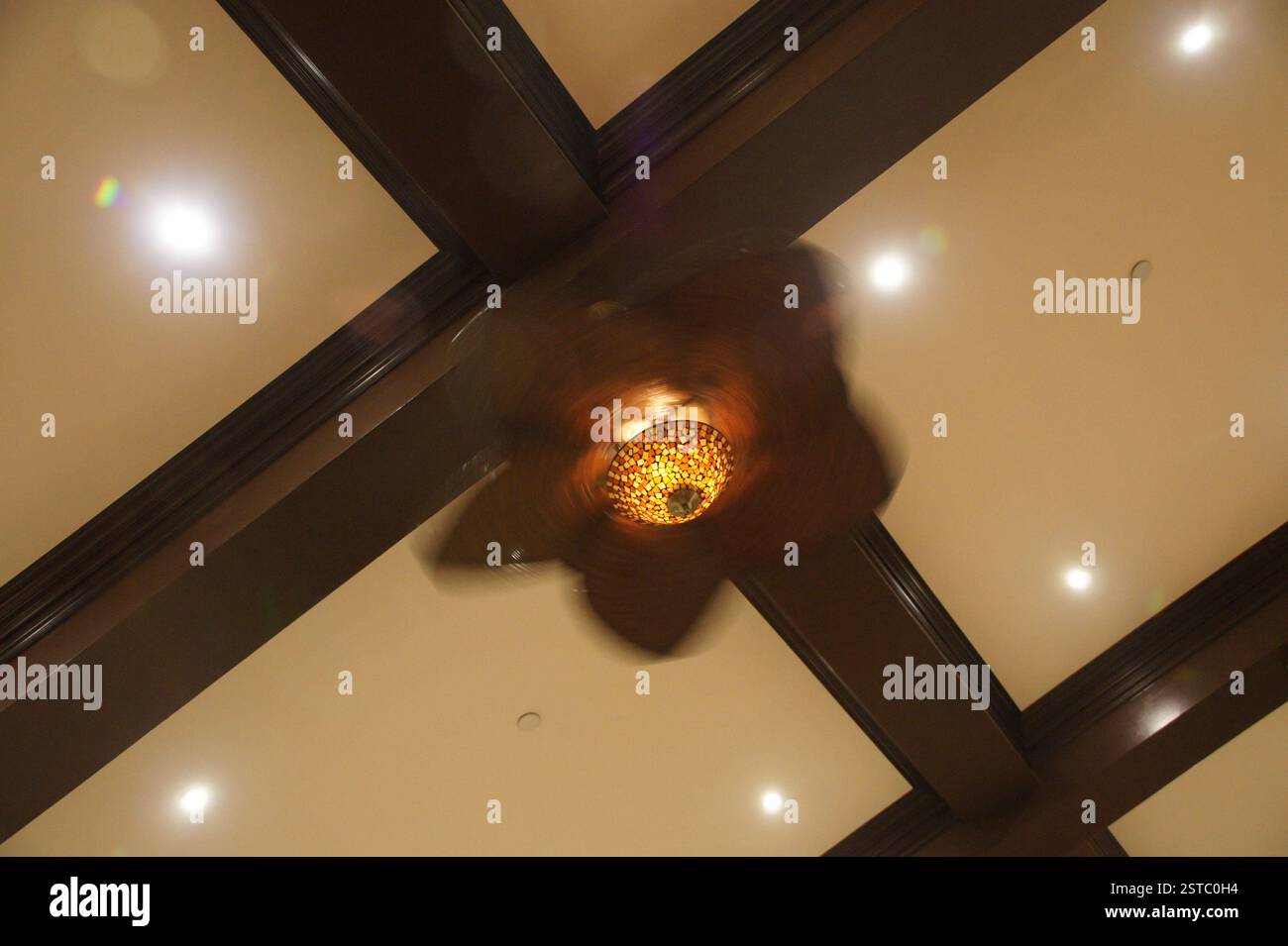 Floral ceiling fan. Miami. Decorative light fixture with cooling ...