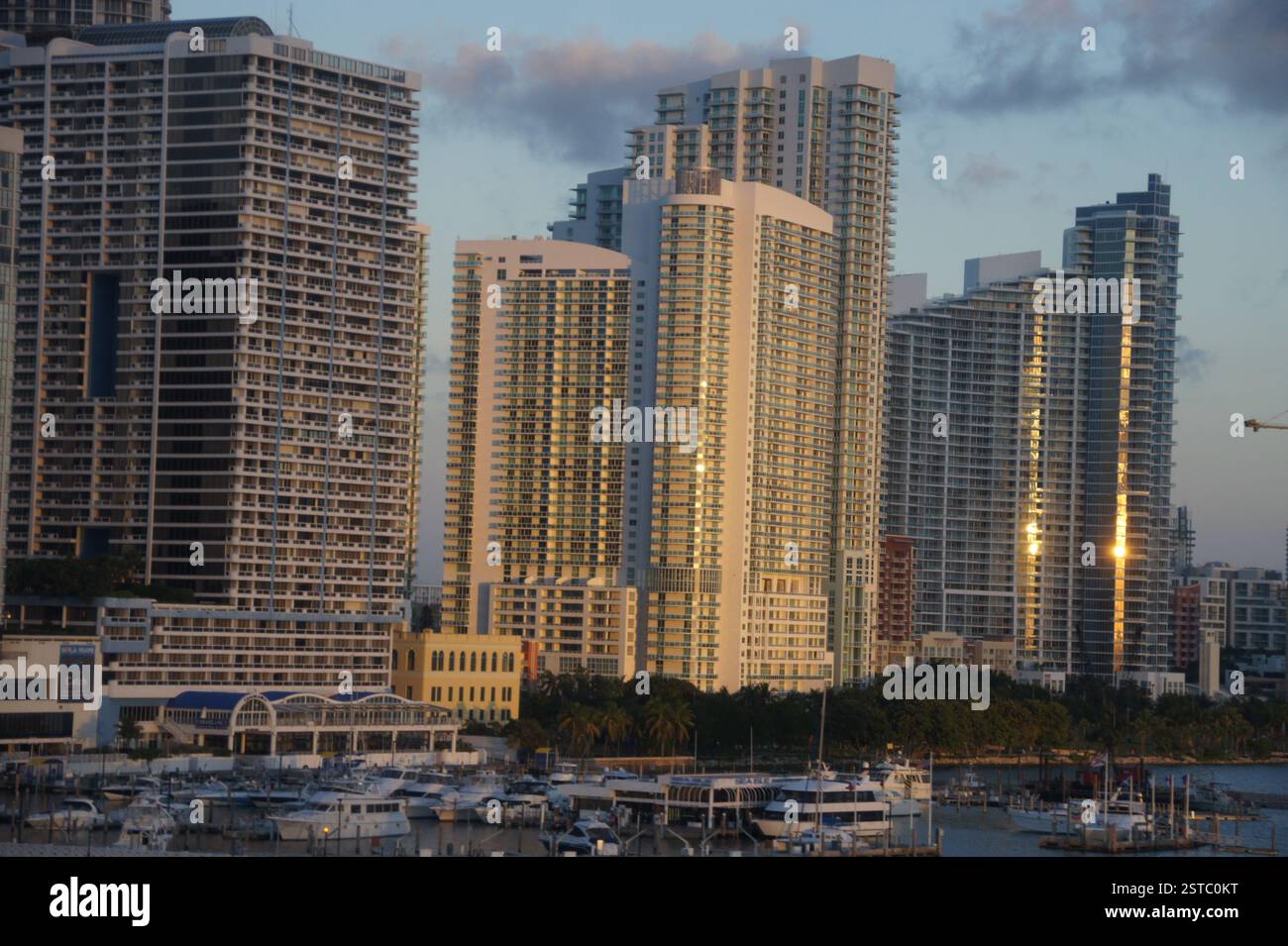 Miami harbor bustling with boats, skyscrapers as dramatic backdrop. A ...