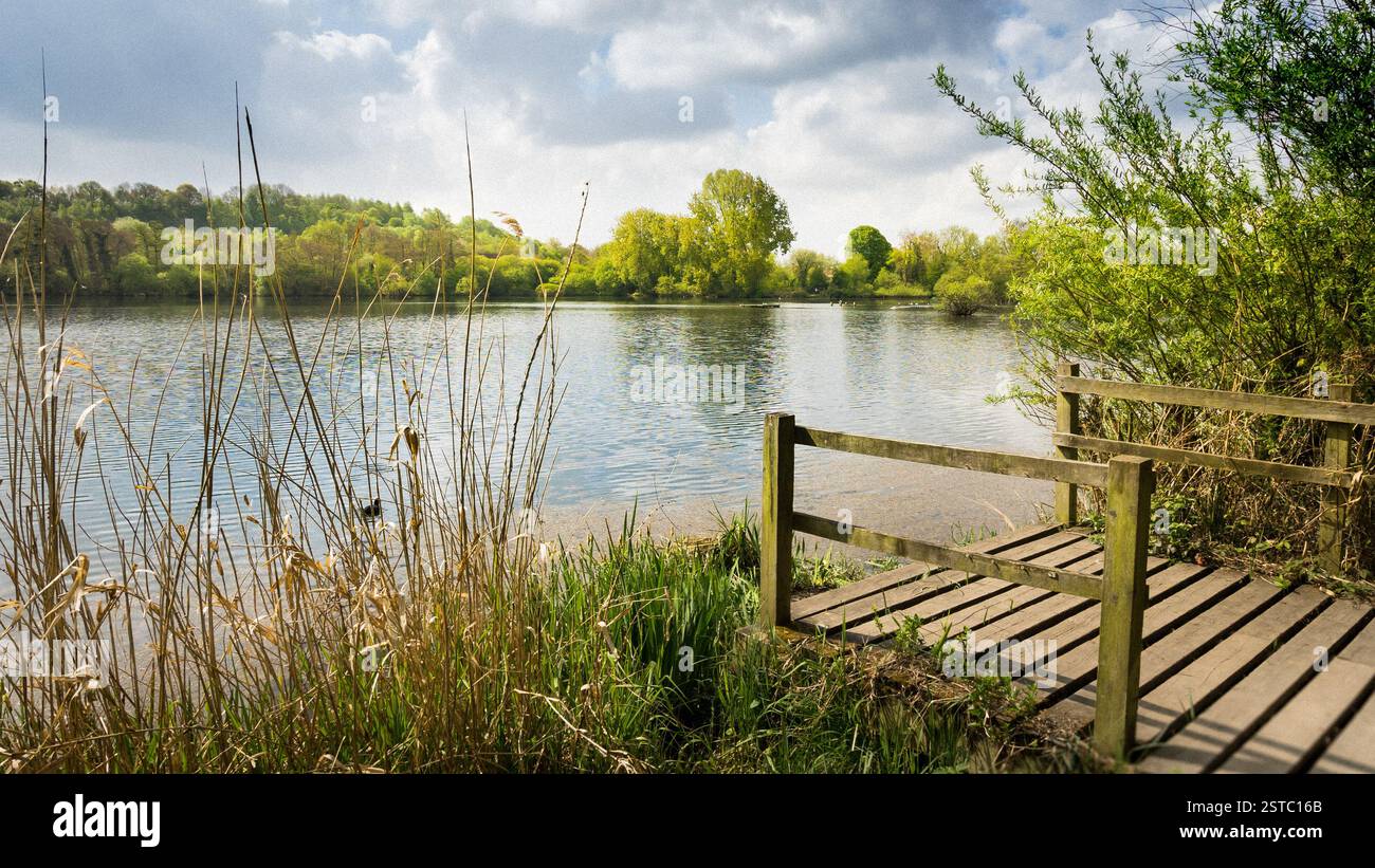 View across the Aquadrome, a man-made lake in the Hertfordshire village ...