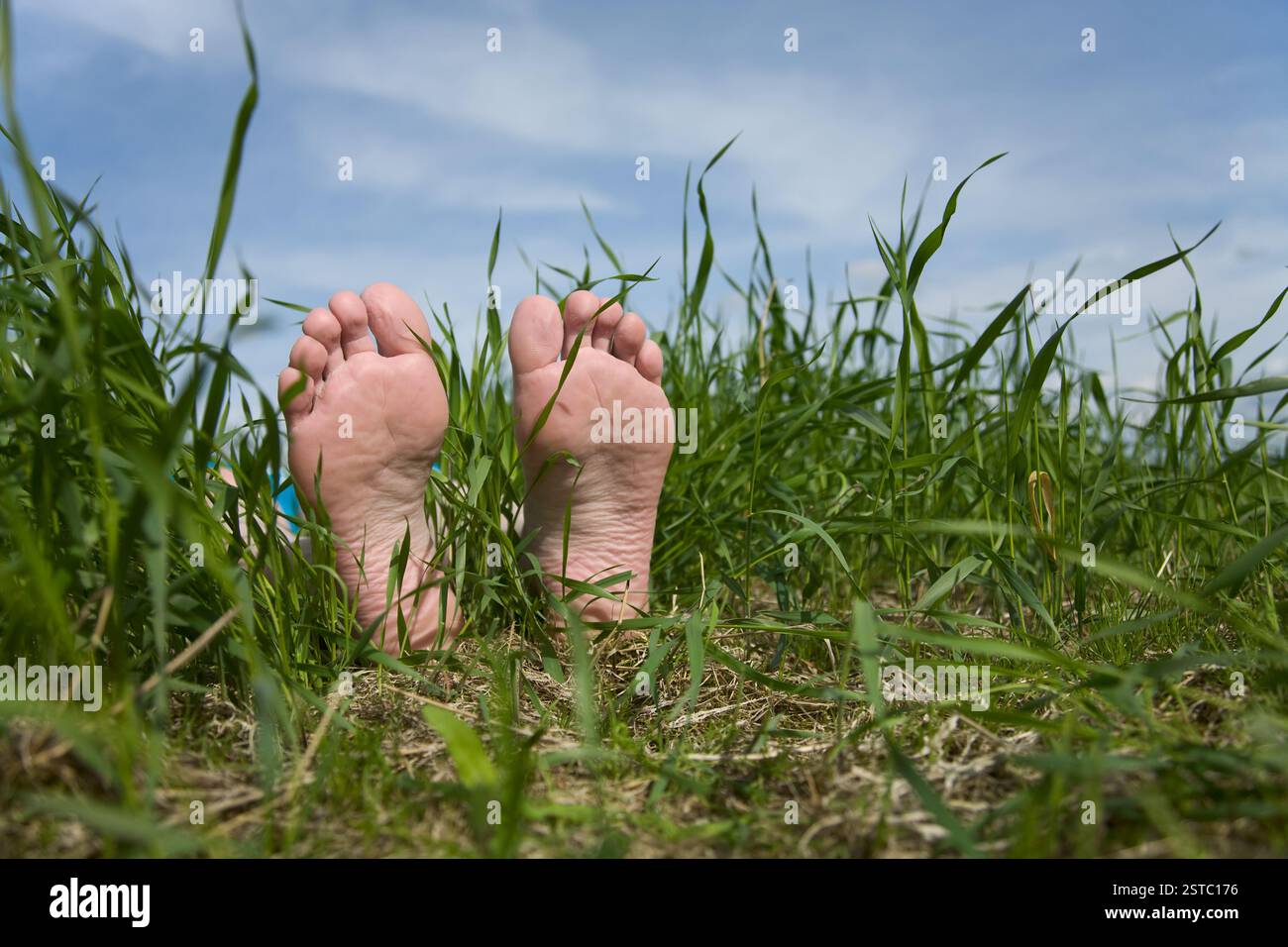 Barefooted foot in grass Stock Photo - Alamy