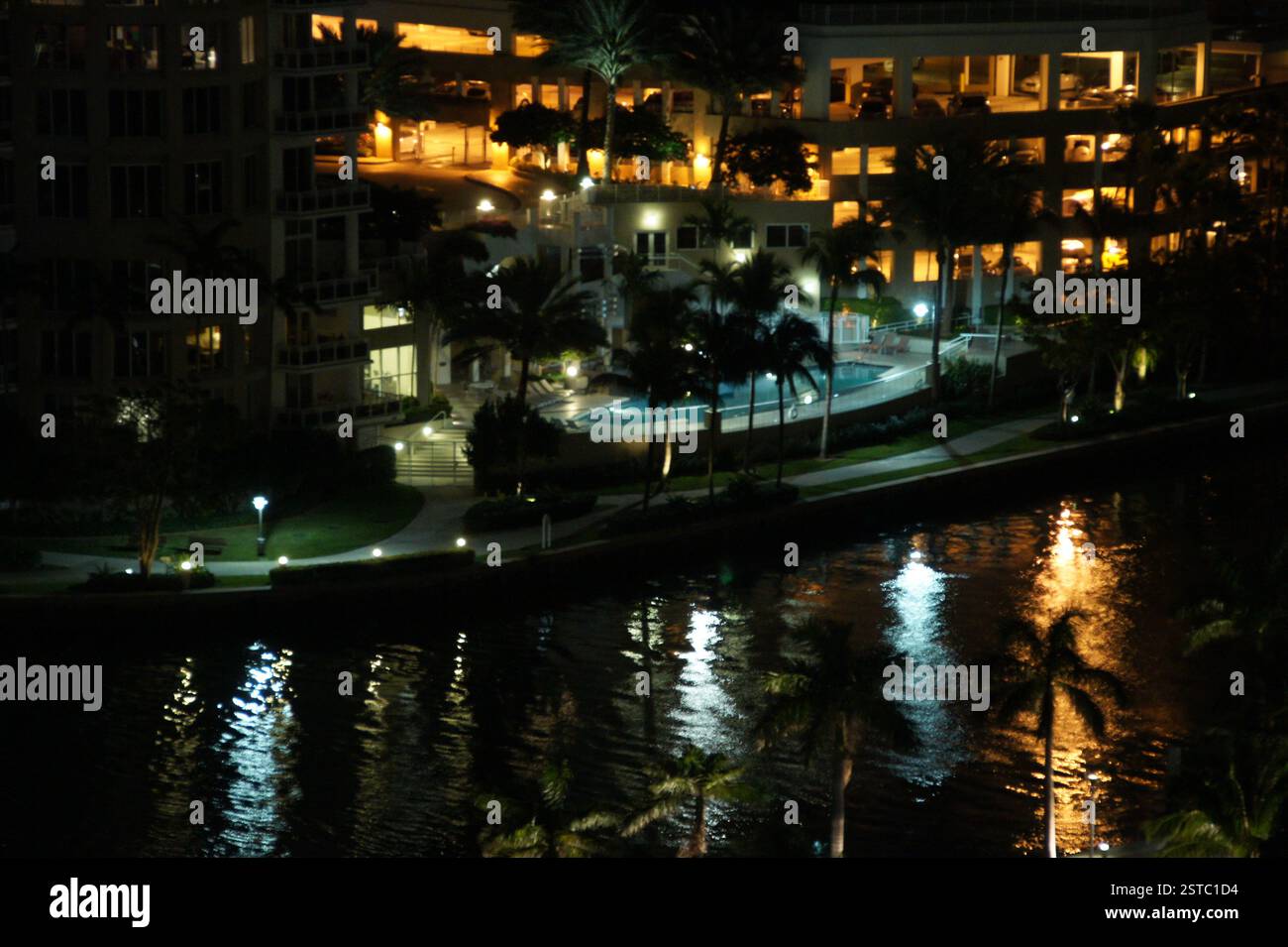 Illuminated Miami pool at night, palm trees, luxurious building ...