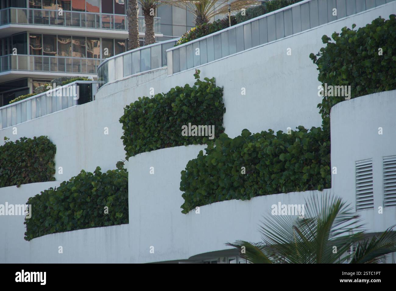 White building Miami green ivy wall. Modern architecture ecological ...
