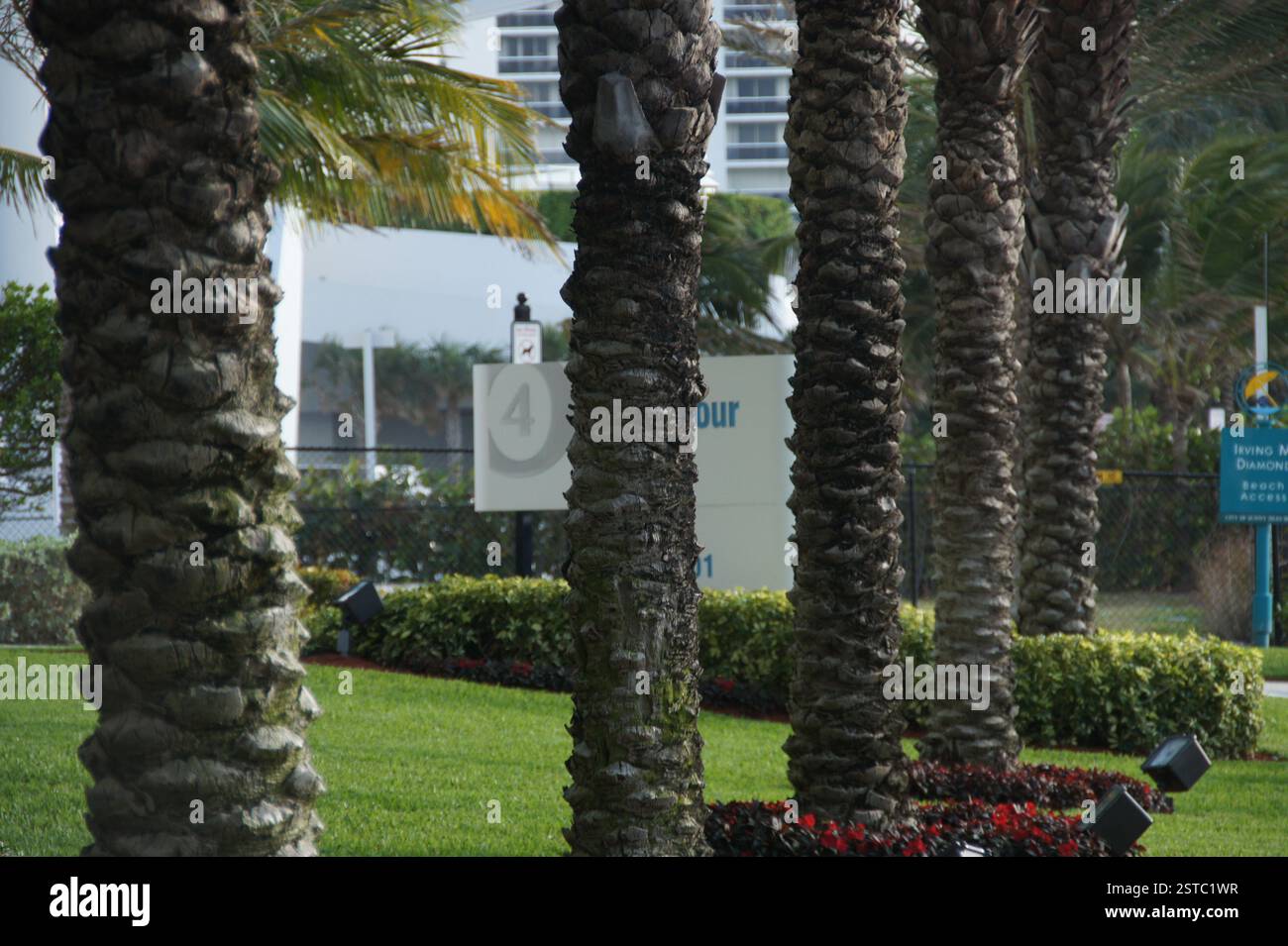 Miami flex office space hi-res stock photography and images - Alamy