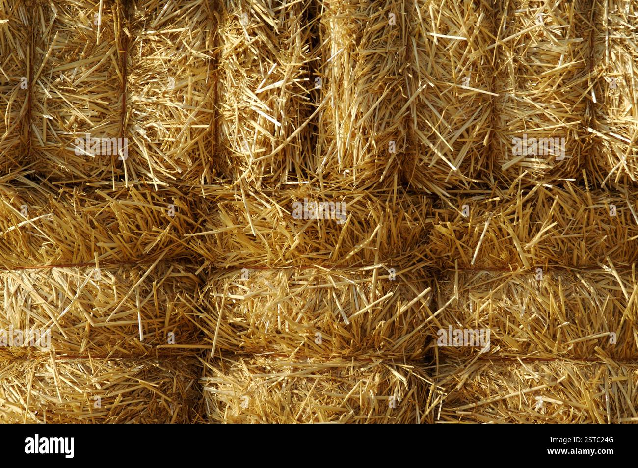 Stacked Straw Hay Bails Stock Photo - Alamy