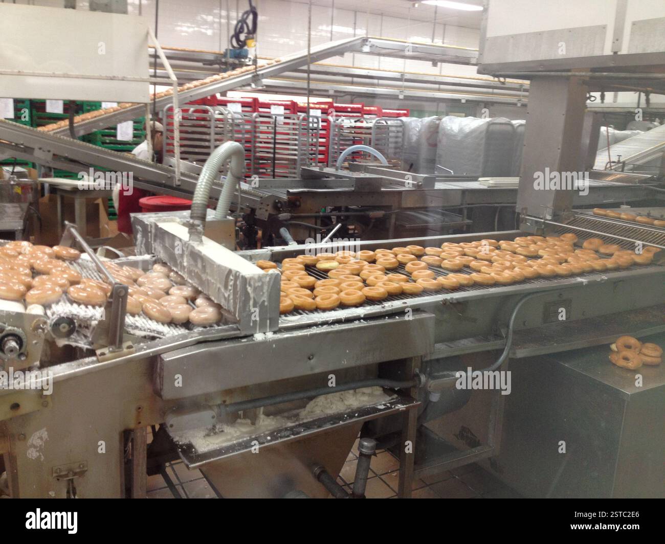 Conveyor belt filled with glazed donuts moving through Miami bakery ...