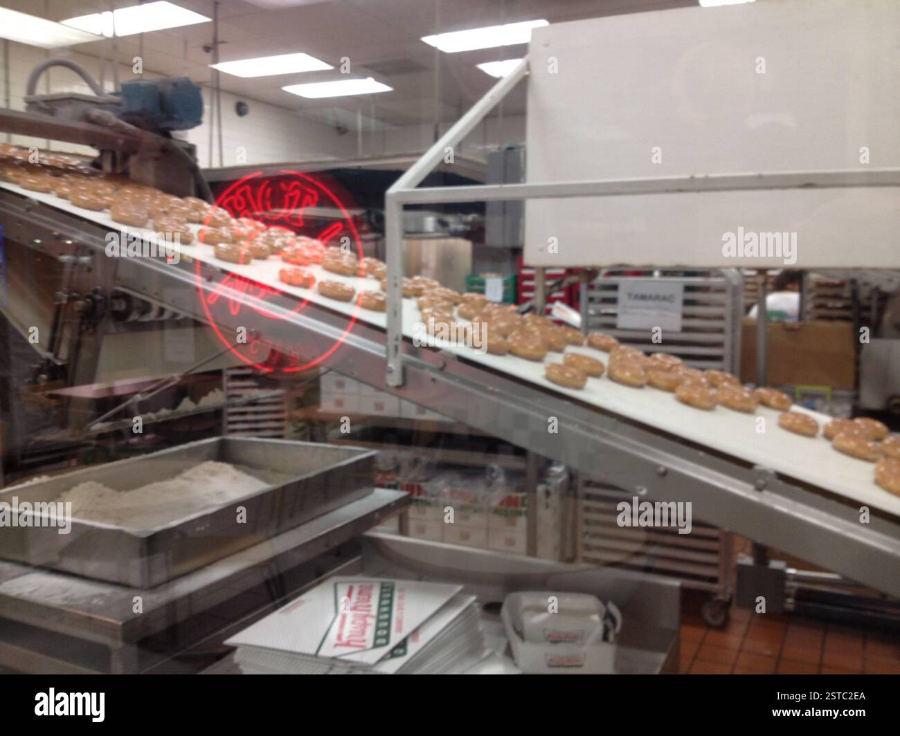 Conveyor belt filled with glazed donuts in Miami bakery. Donuts move ...