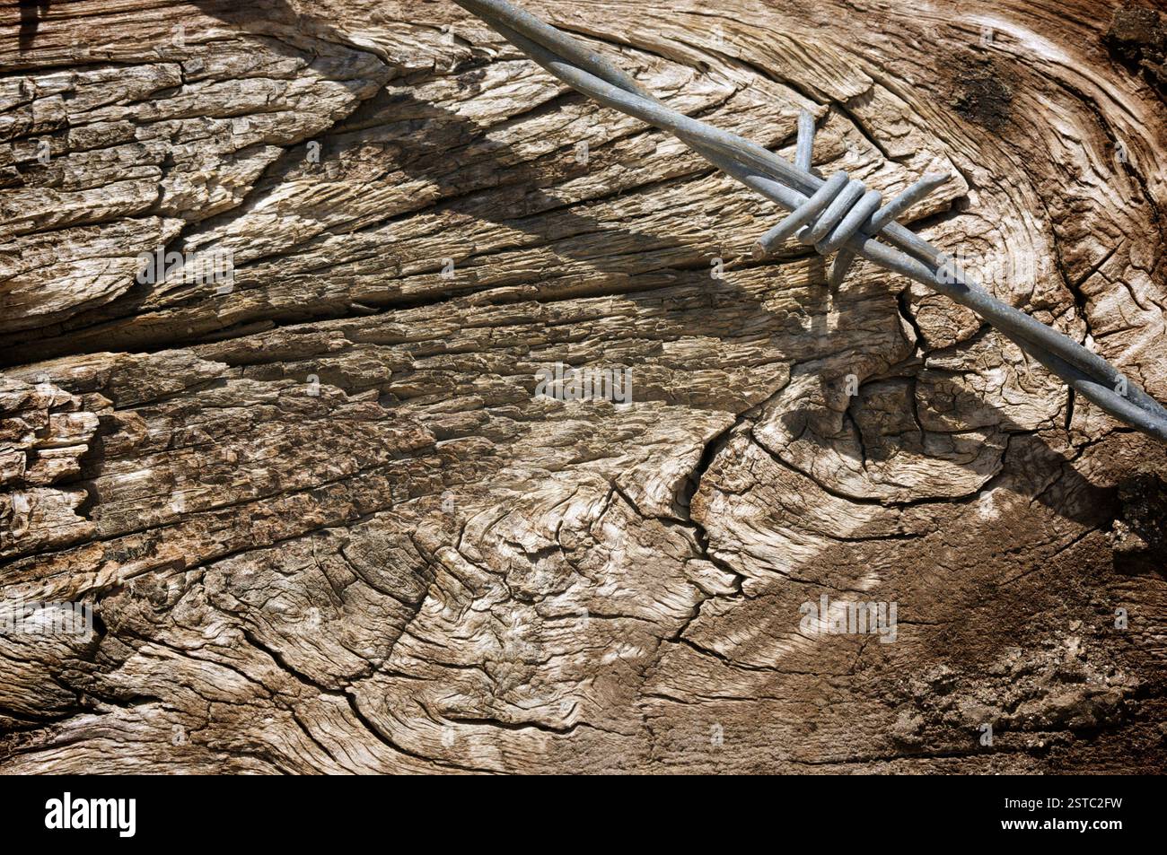 Aged Wood Texture and Barbed Wire Stock Photo - Alamy