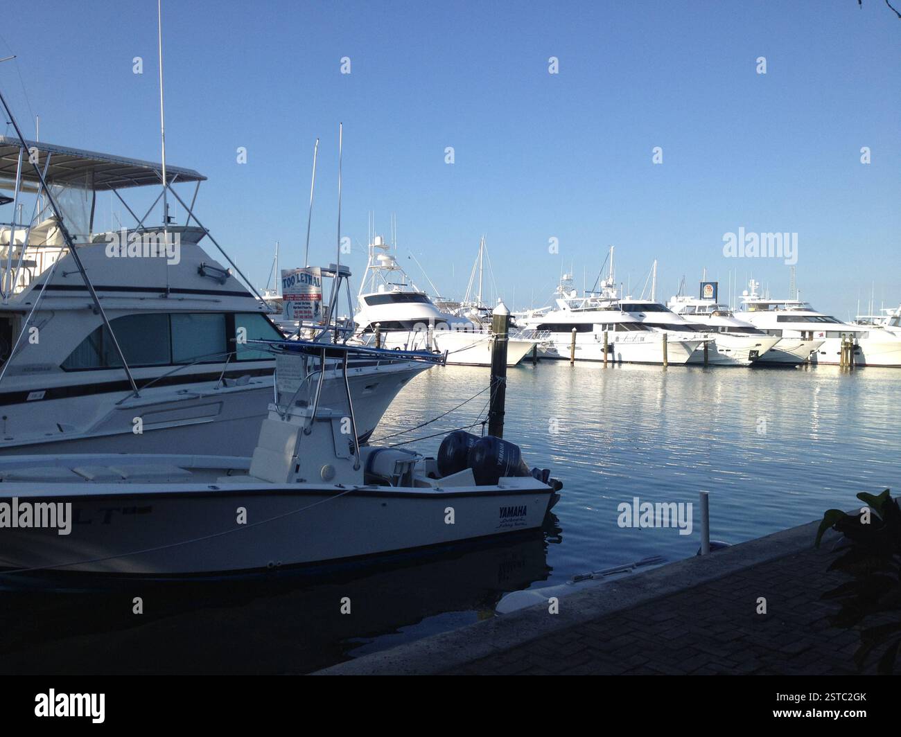 Miami harbor with colorful boats, bustling city skyline. Peaceful Miami ...