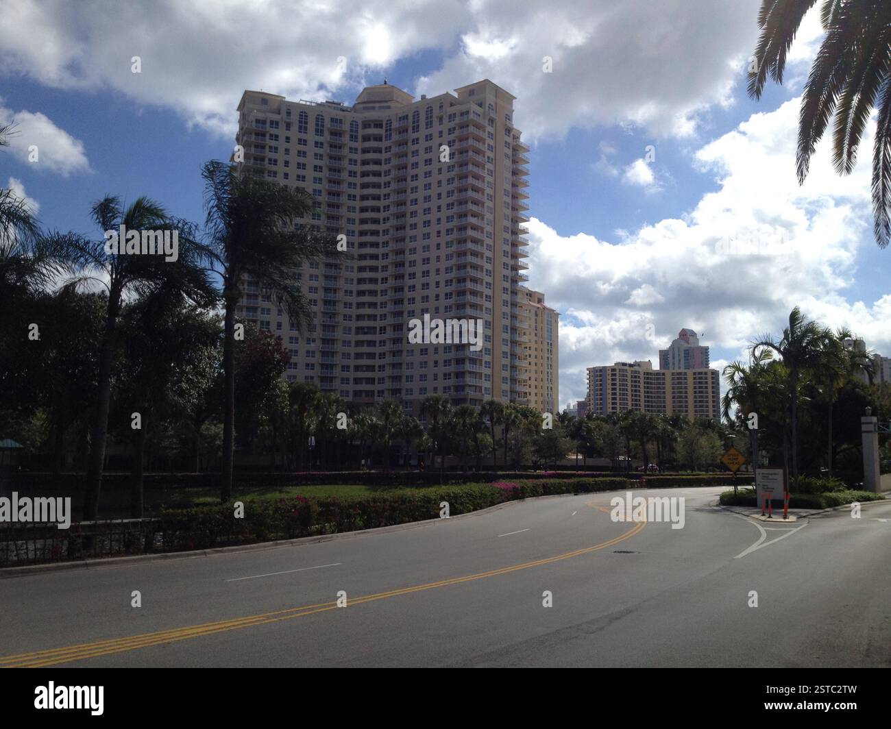 City street lined with palm trees leading to a modern high-rise Miami ...
