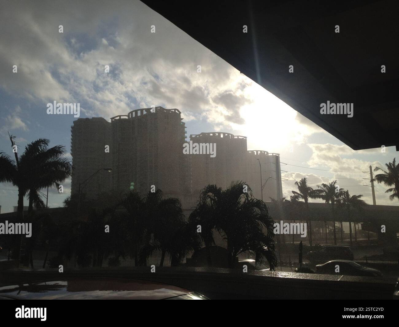 Stormy day in Miami. Tall buildings rise above palm trees. Dark clouds ...