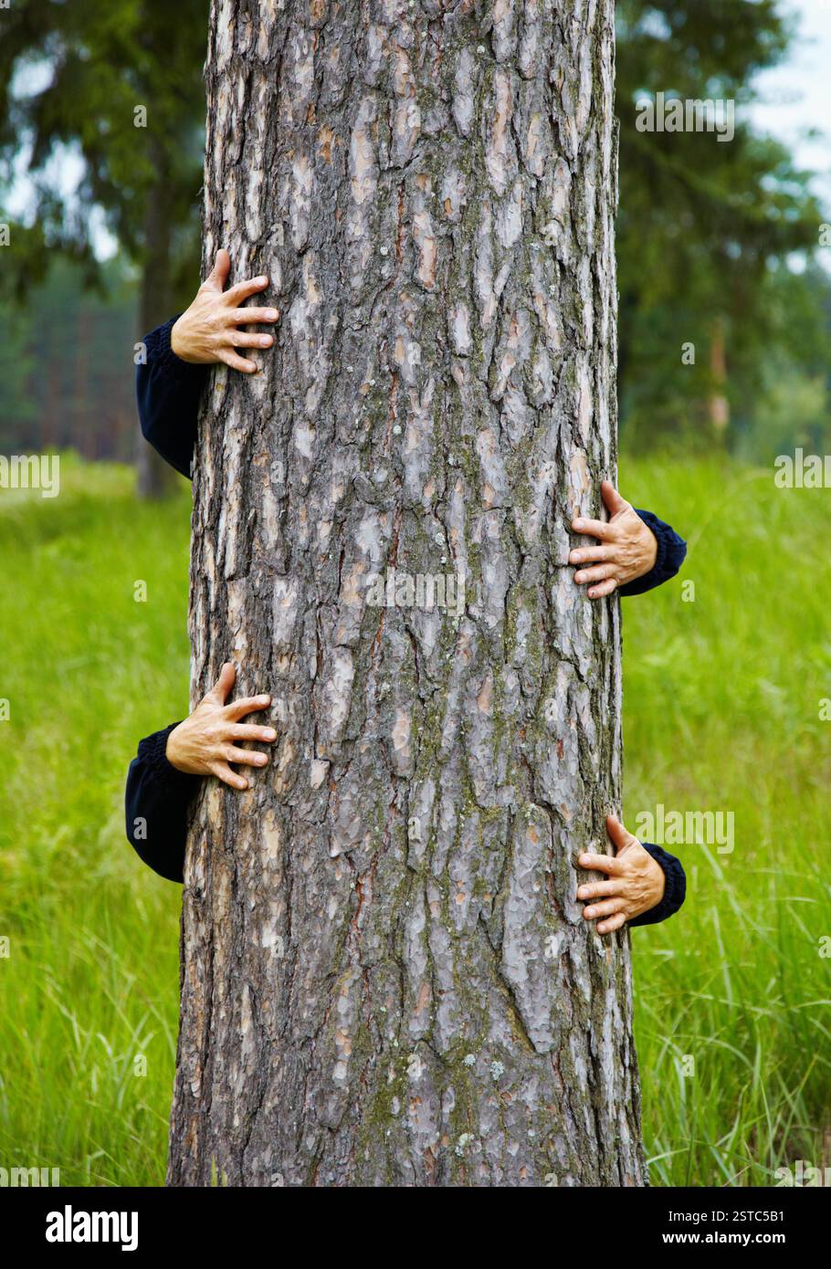 Man climbs the tree hi-res stock photography and images - Alamy