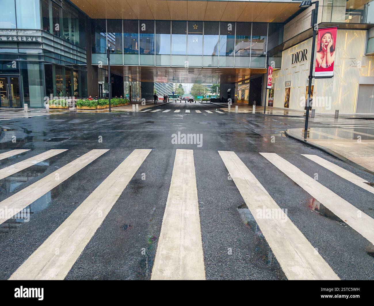 ShenZhen, China - February 12, 2025 : A wet crosswalk in ShenZhen ...