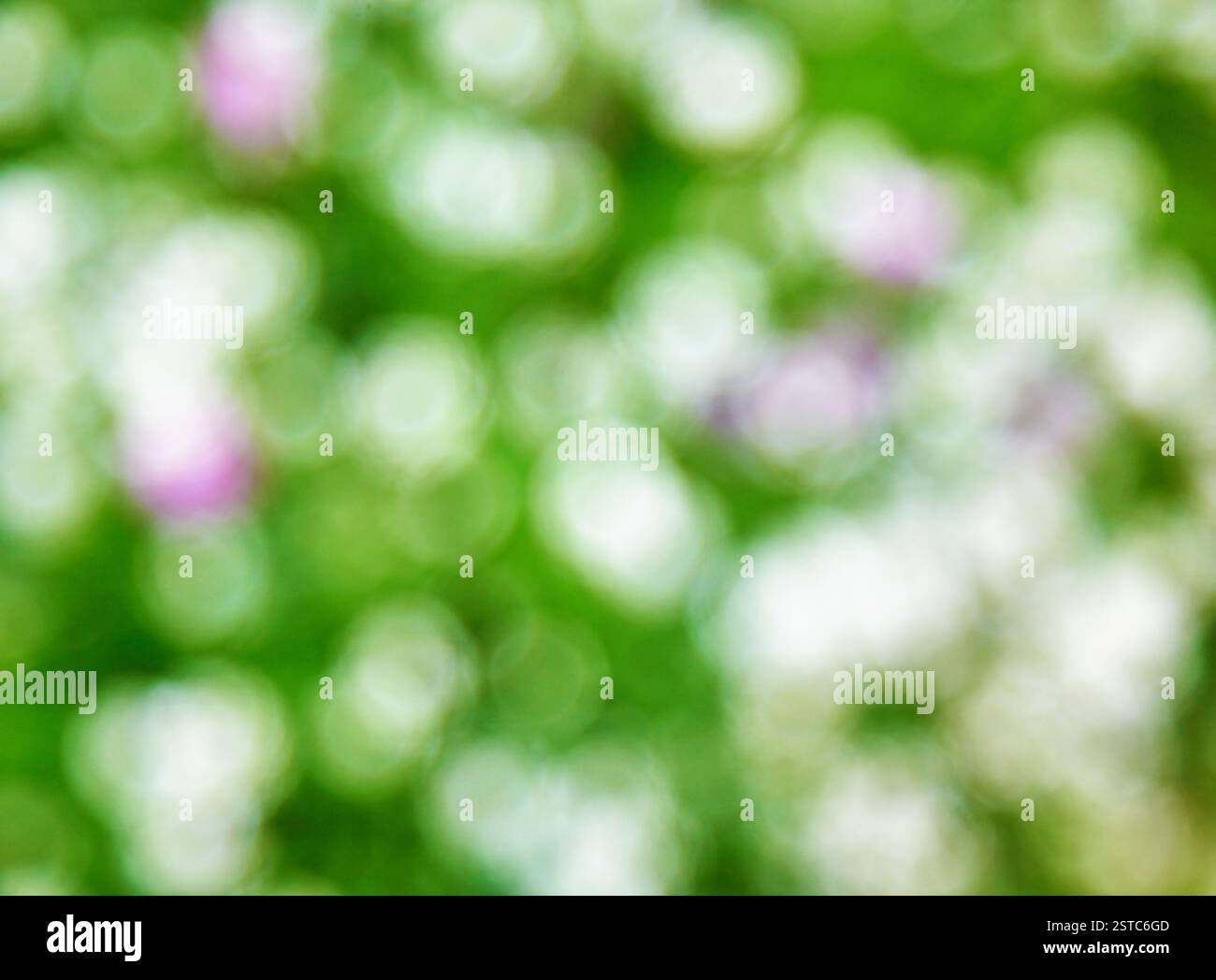 Bright spots hi-res stock photography and images - Alamy