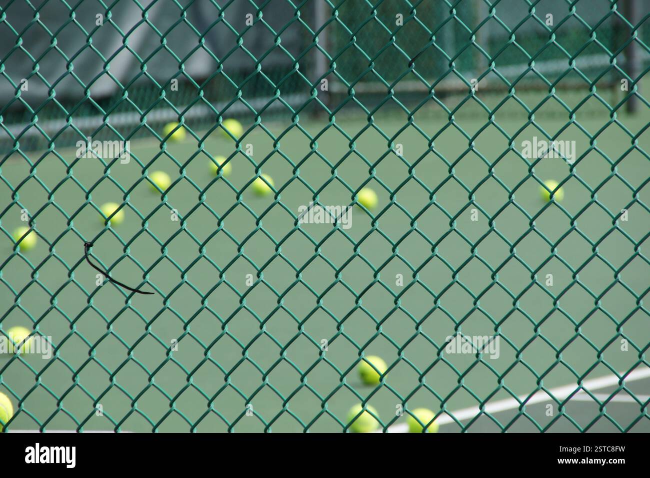 Boston Chain-link fence enclosing a tennis court with numerous tennis ...