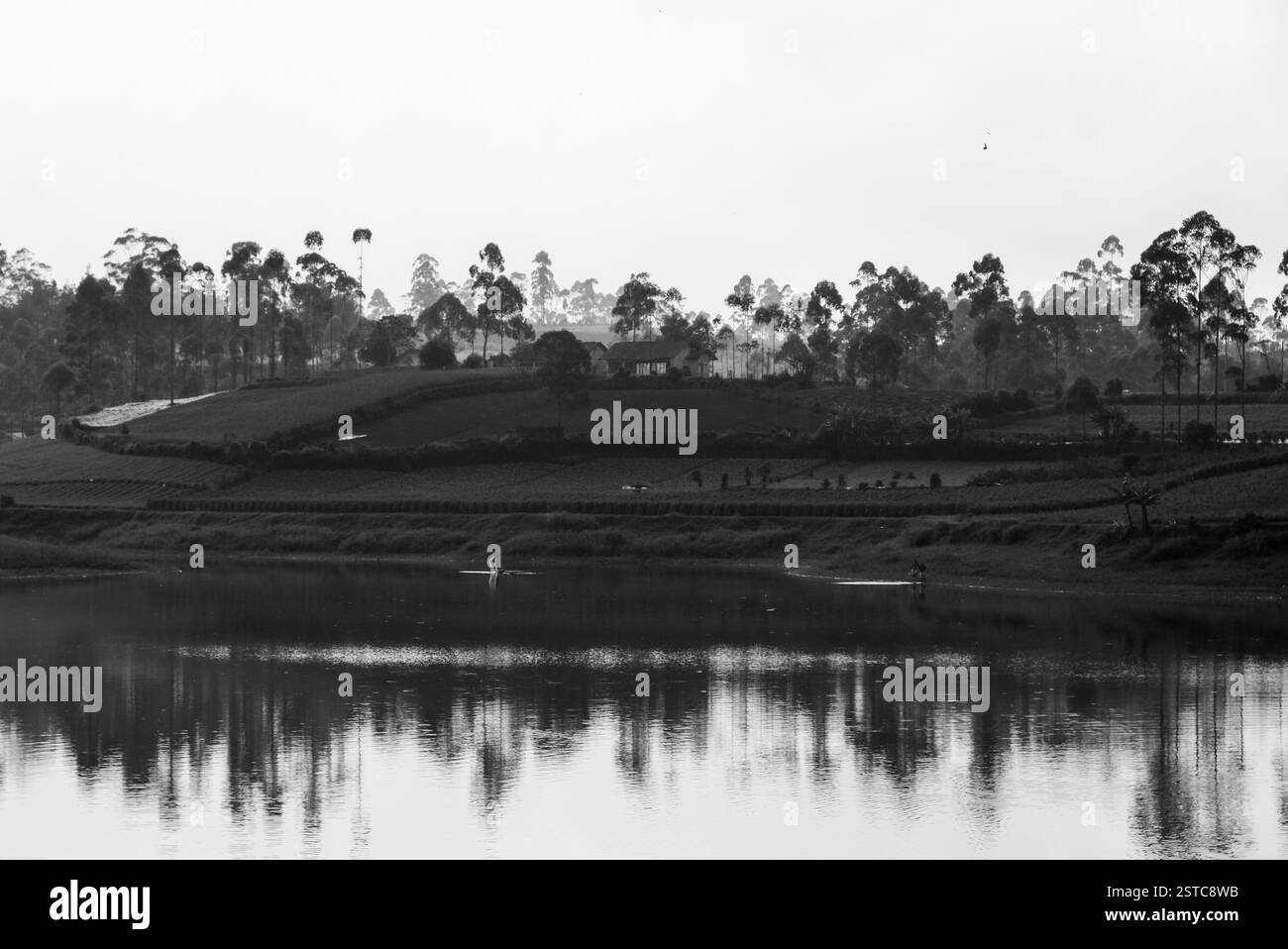 Beautiful landscape view of Situ Cileunca, West Java, Indonesia Stock ...