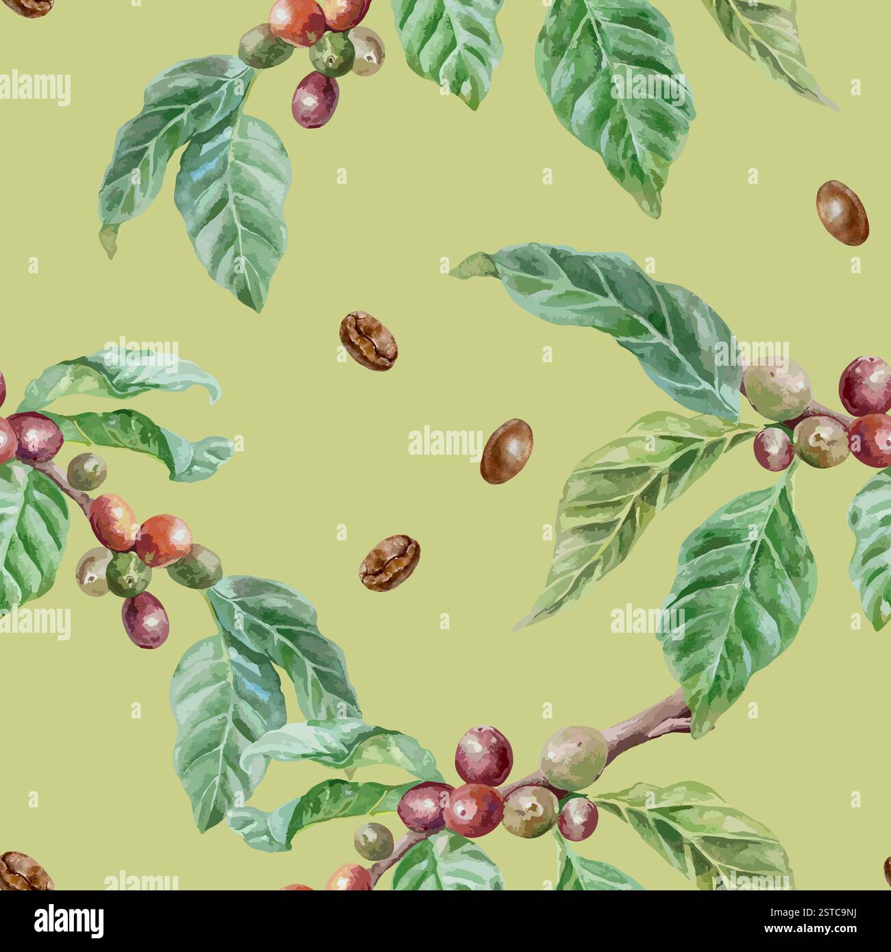 Coffee branch with green leaves and berries, roasted beans, seamless pattern, watercolor. Hand ...