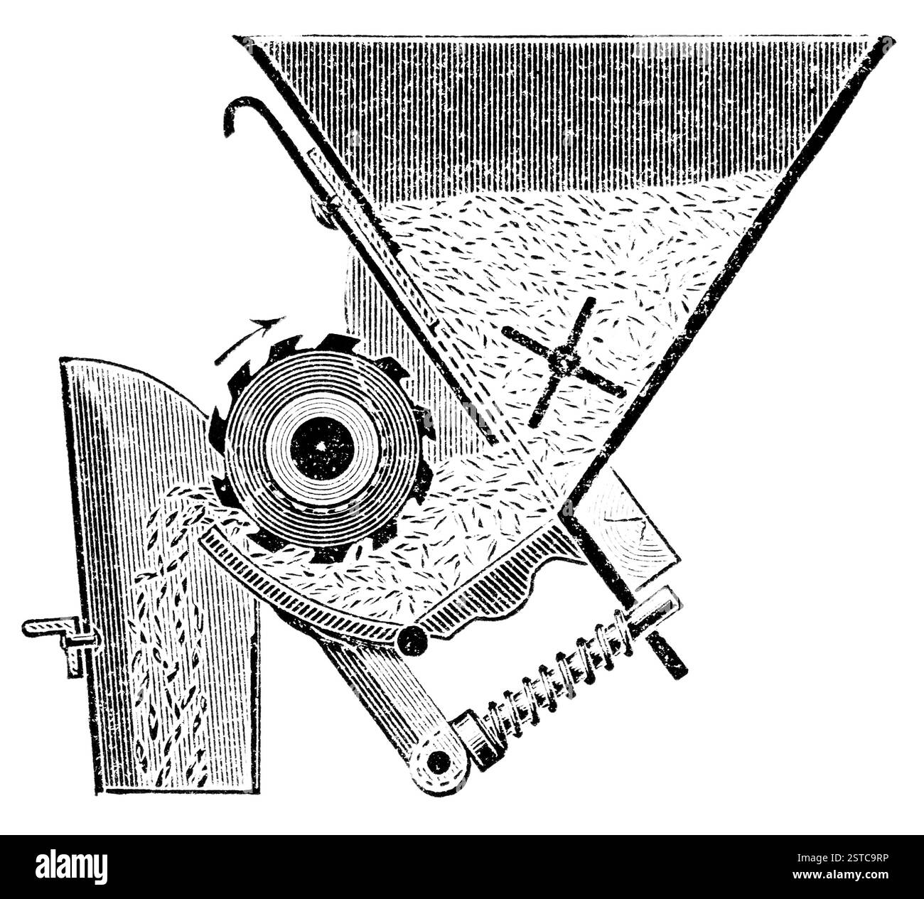 Engraving detail drawing Cut Out Stock Images & Pictures - Alamy