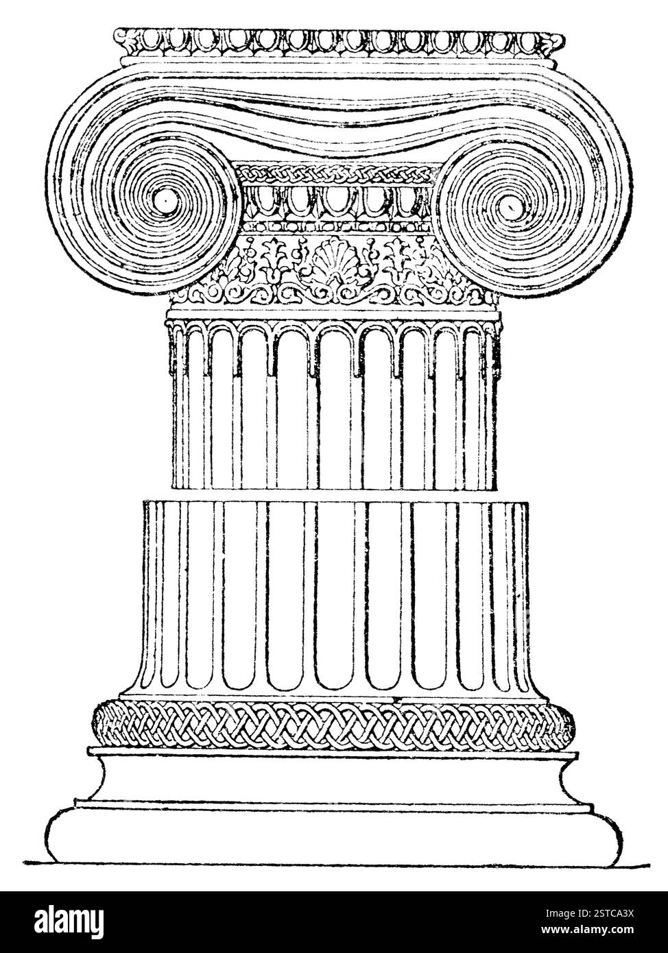 Ionic order drawing Cut Out Stock Images & Pictures - Alamy