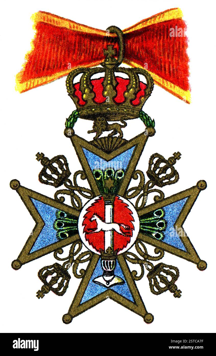 Lion order hi-res stock photography and images - Alamy