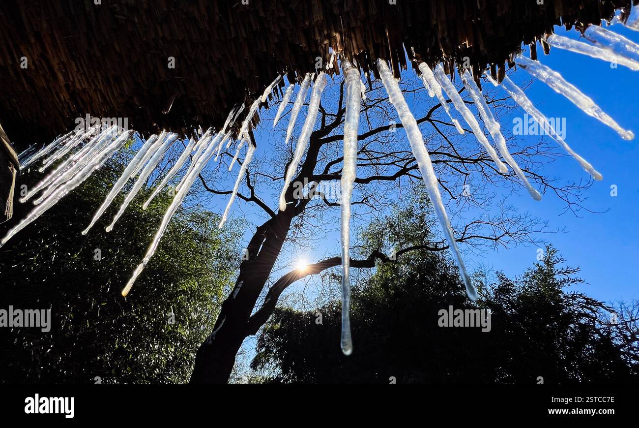 Hanover, Germany. 18th Feb, 2025. Icicles have formed on a roof at ...