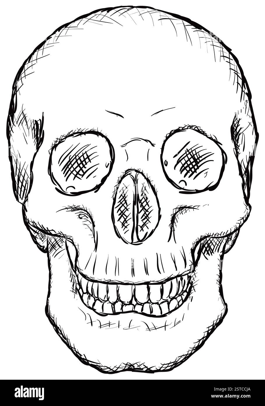 Line art drawing skull hi-res stock photography and images - Alamy