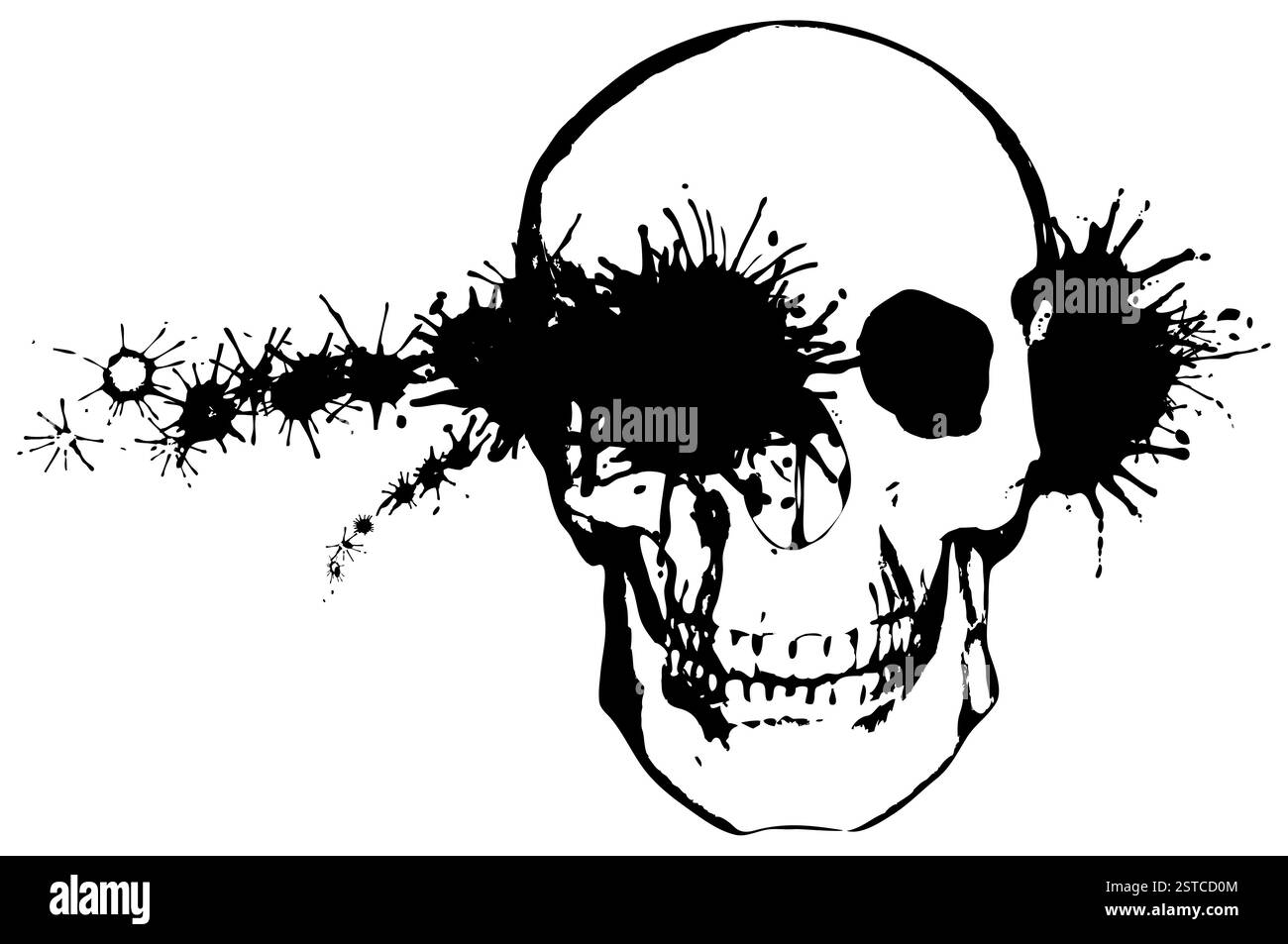Human skull drawing illustration hi-res stock photography and images ...