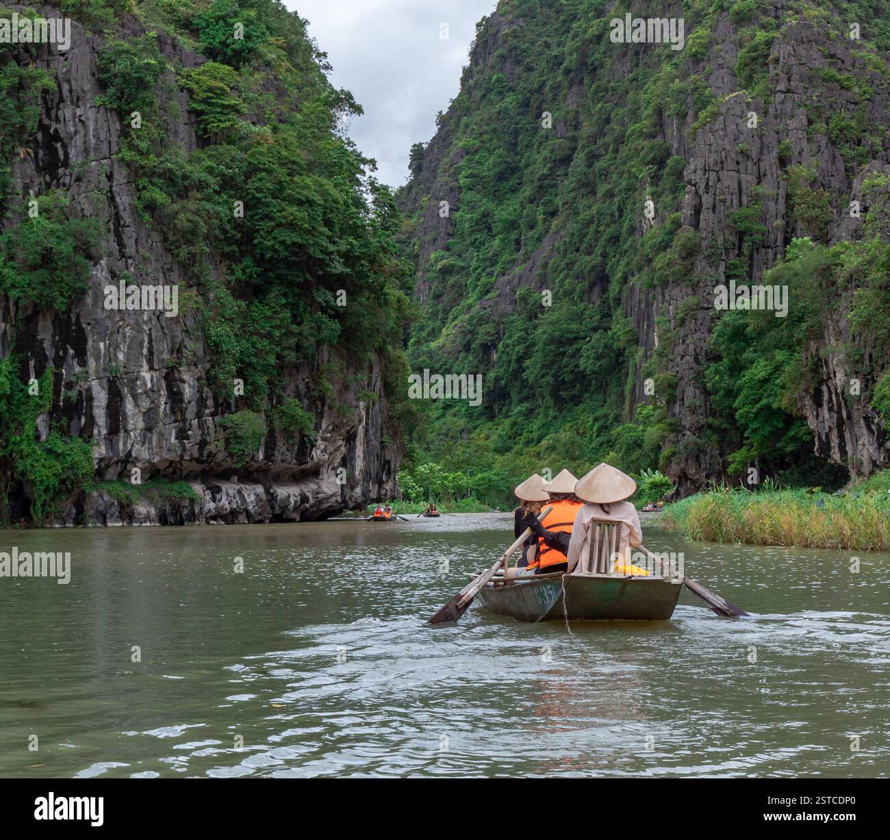 People on a boat floating down a river surrounded by tropical lush ...