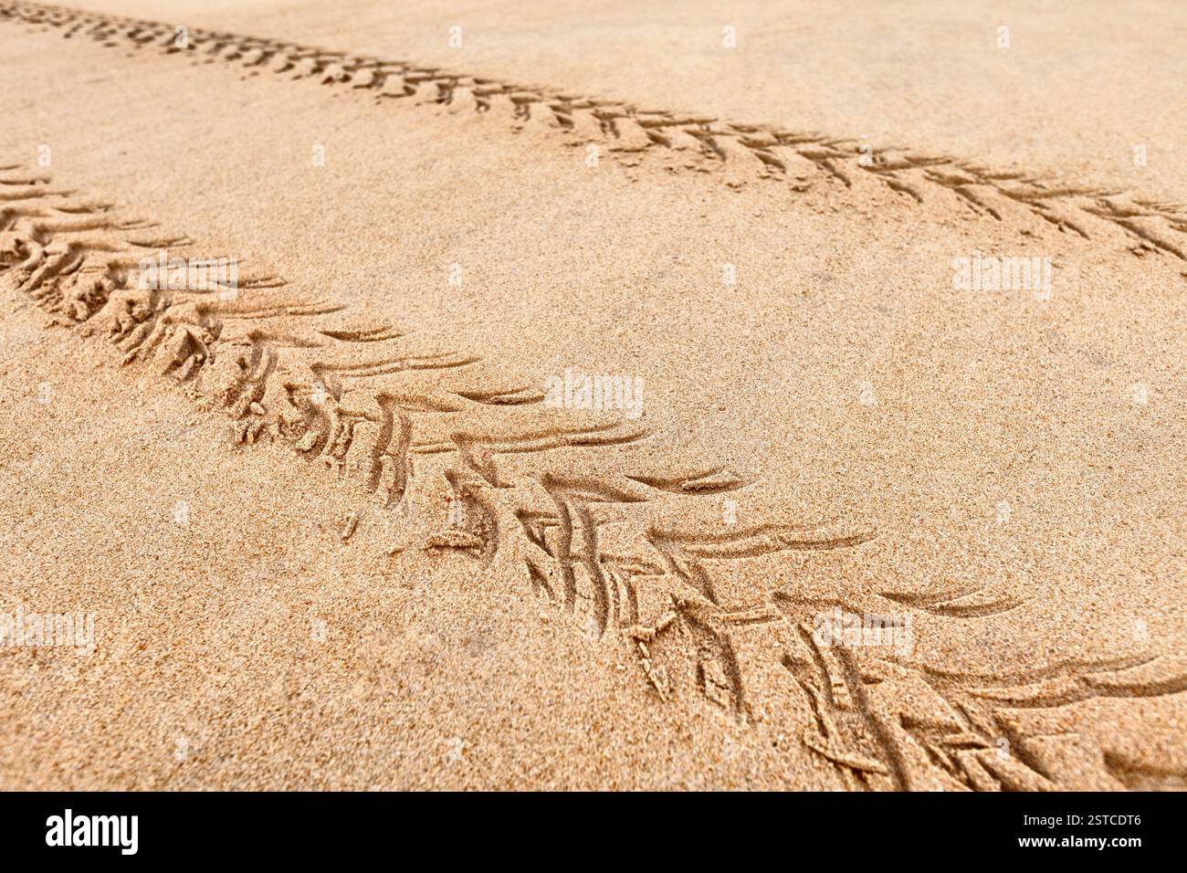 Traces beach sand tracks desert hi-res stock photography and images - Alamy