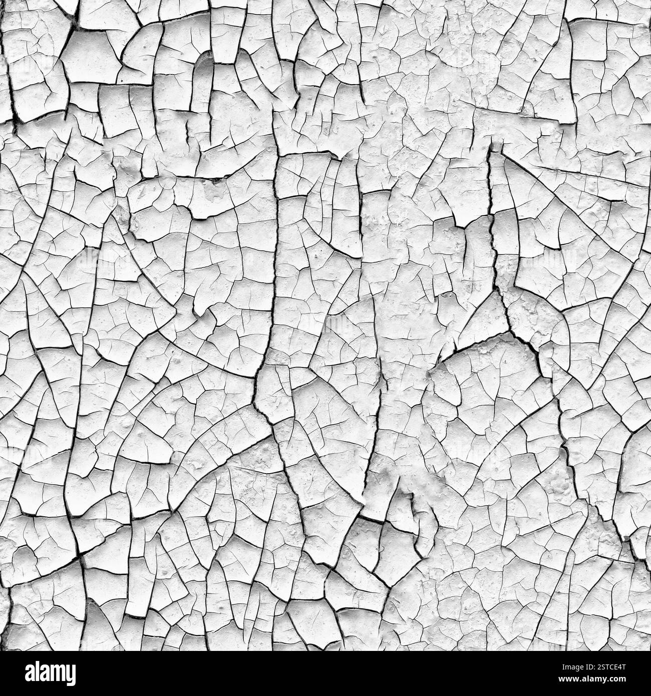 Shabby texture seamless pattern Black and White Stock Photos & Images ...