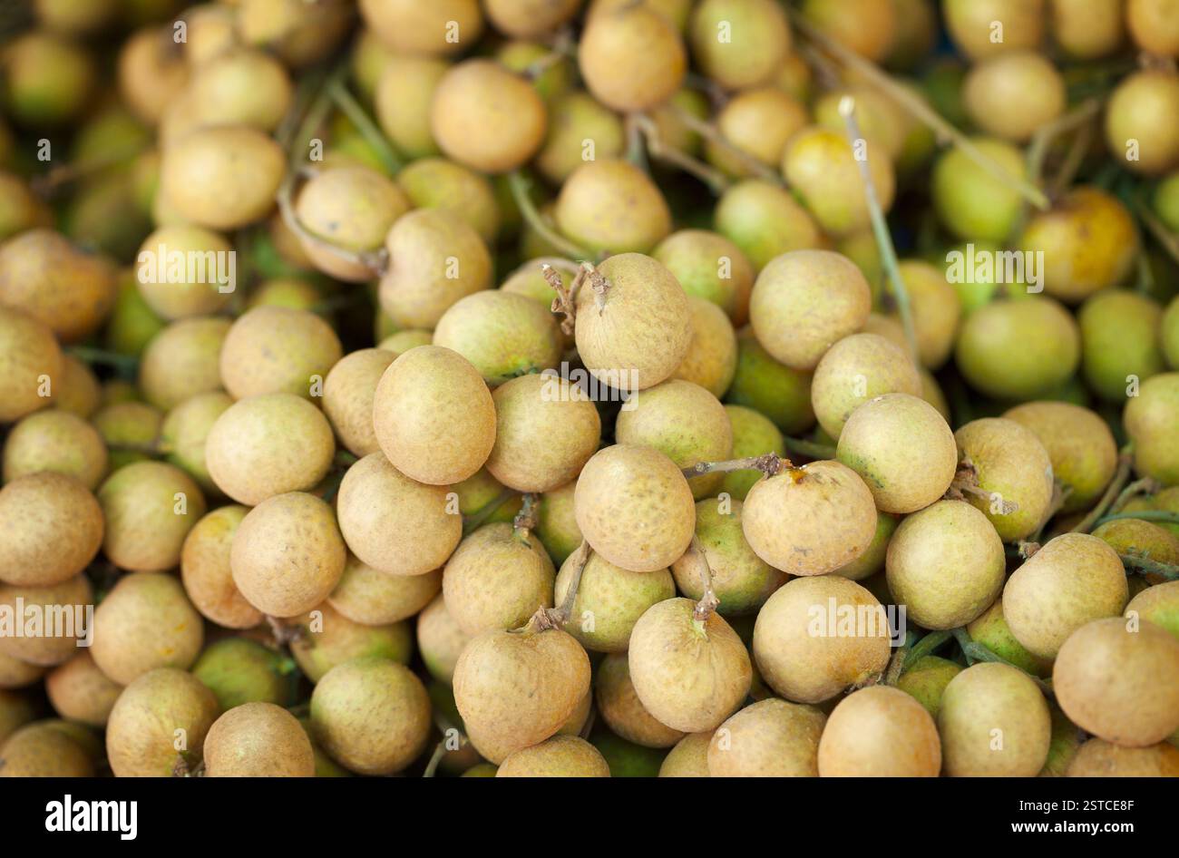 Longan exotic fruit hi-res stock photography and images - Alamy