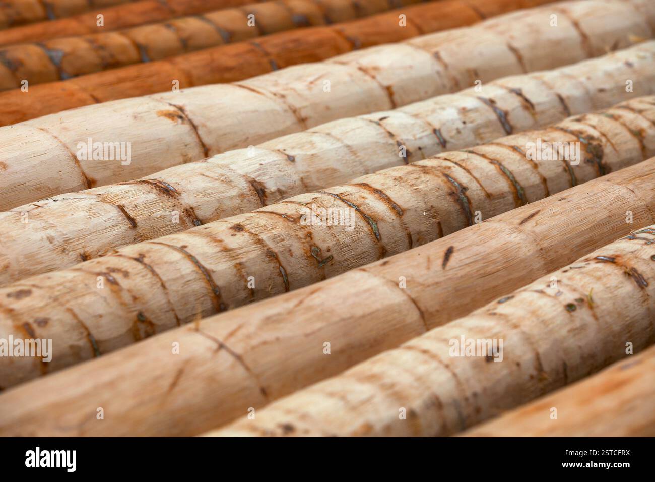 Palm construction hi-res stock photography and images - Alamy