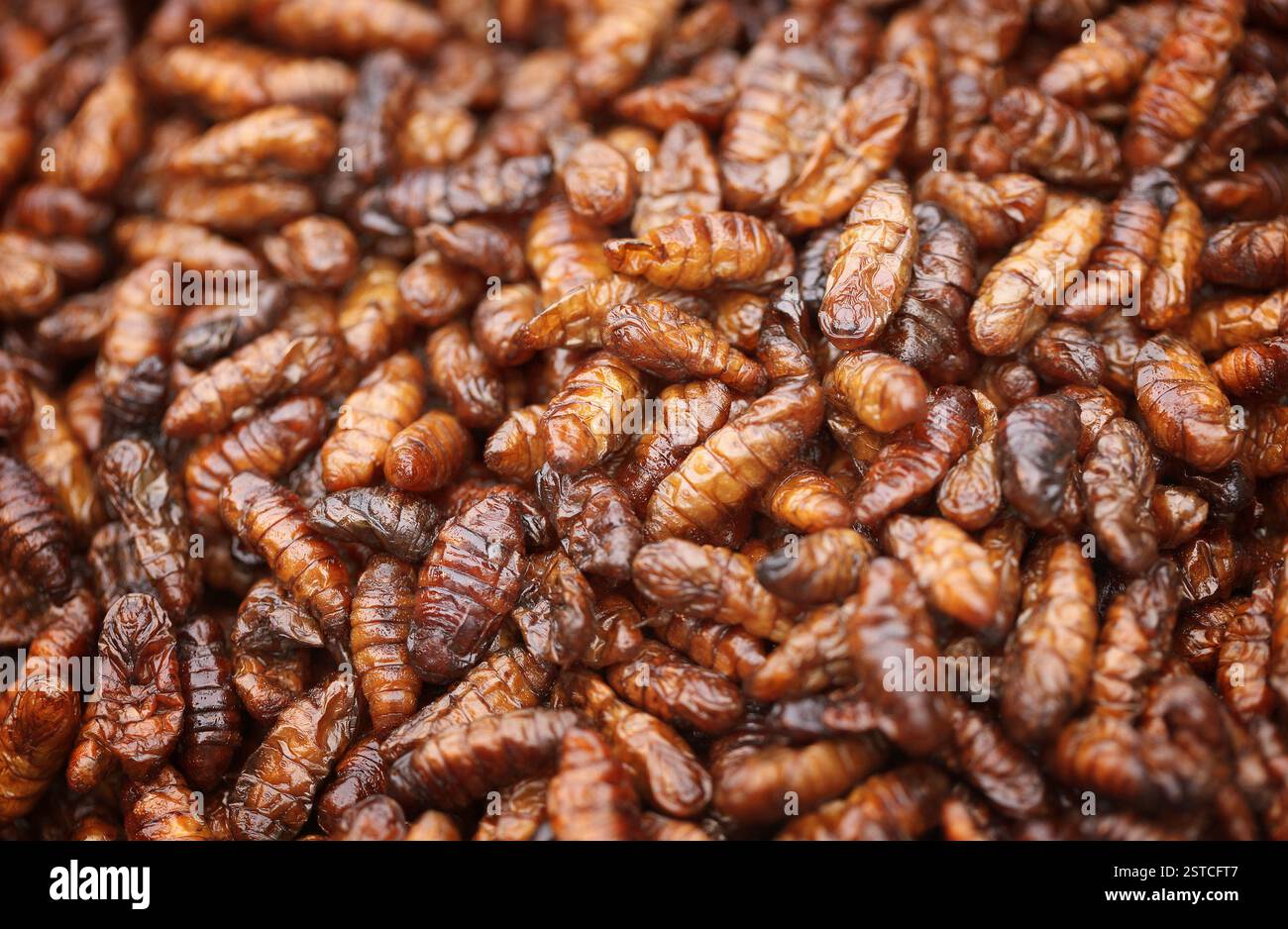Deep fried silkworm hi-res stock photography and images - Alamy