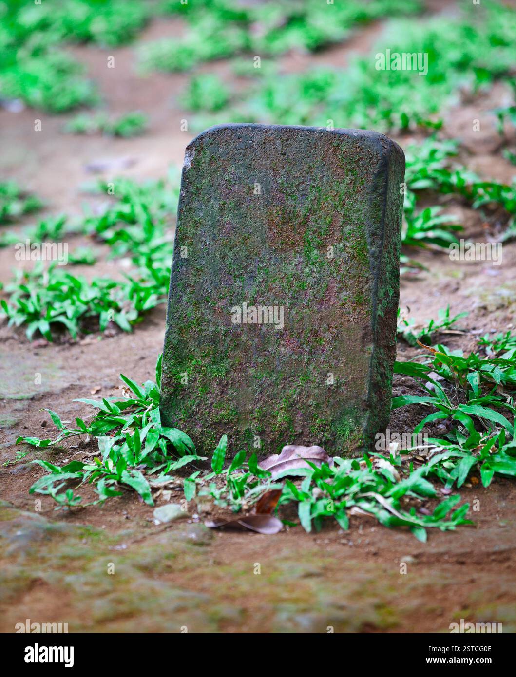 Tombstone for the pet grave Stock Photo - Alamy