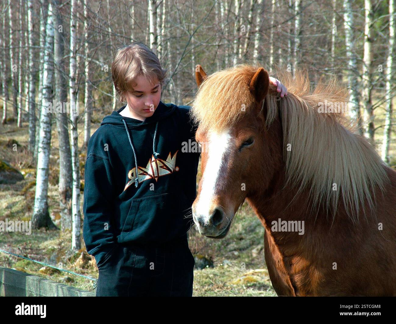 Clap horse hi-res stock photography and images - Alamy