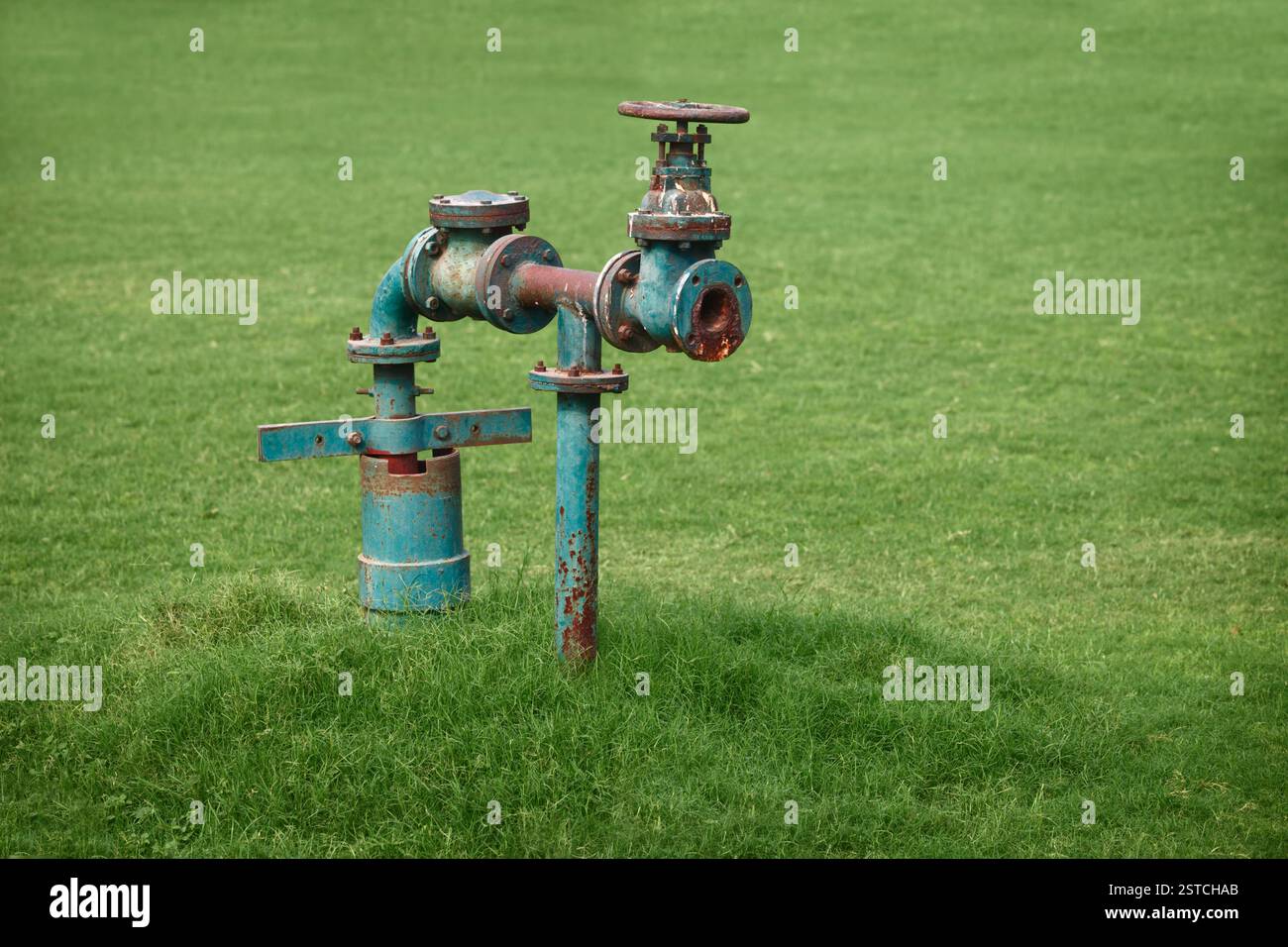 Pipe grass hi-res stock photography and images - Alamy