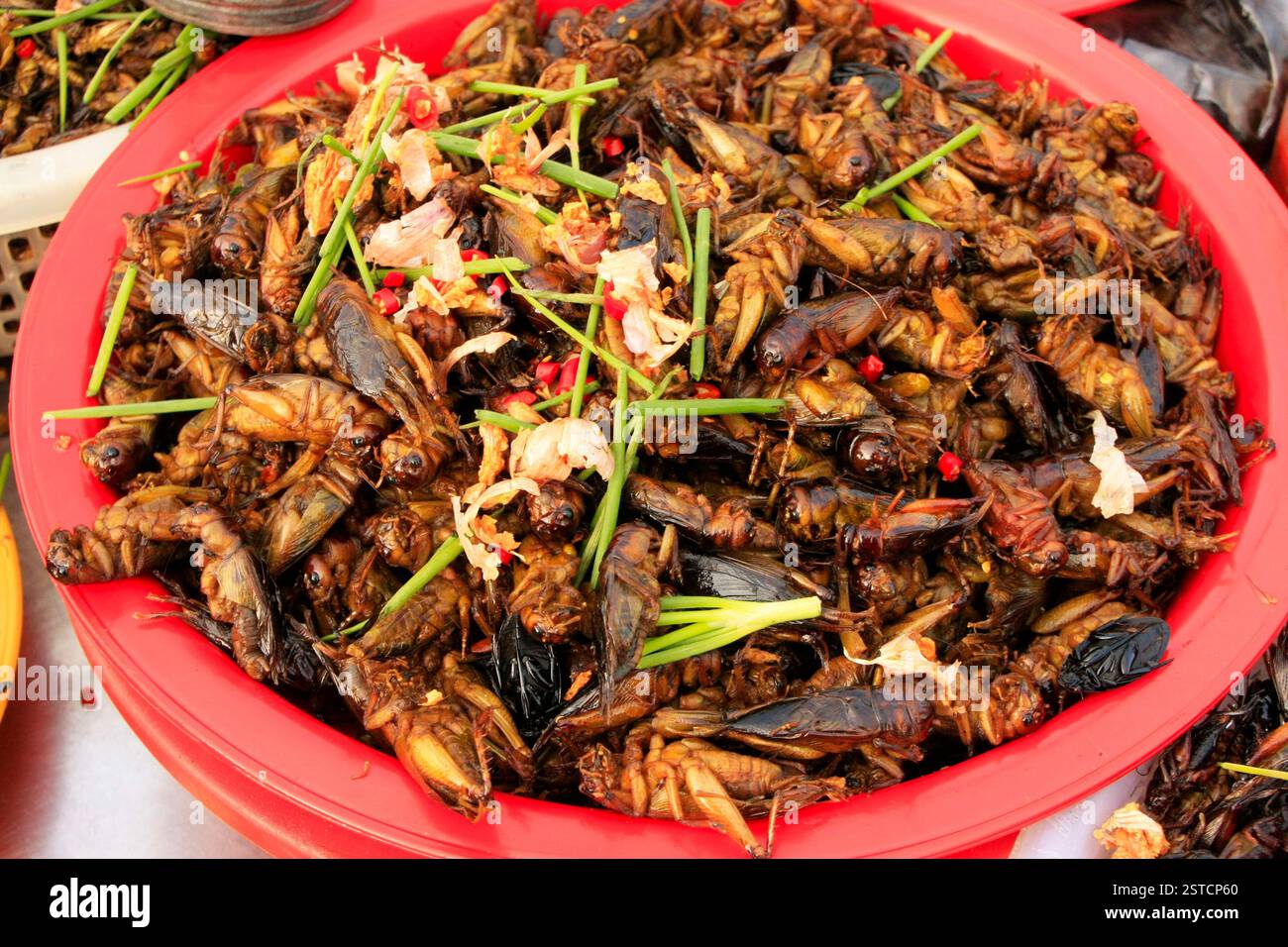 Fried insects for sale, Cambodia Stock Photo - Alamy