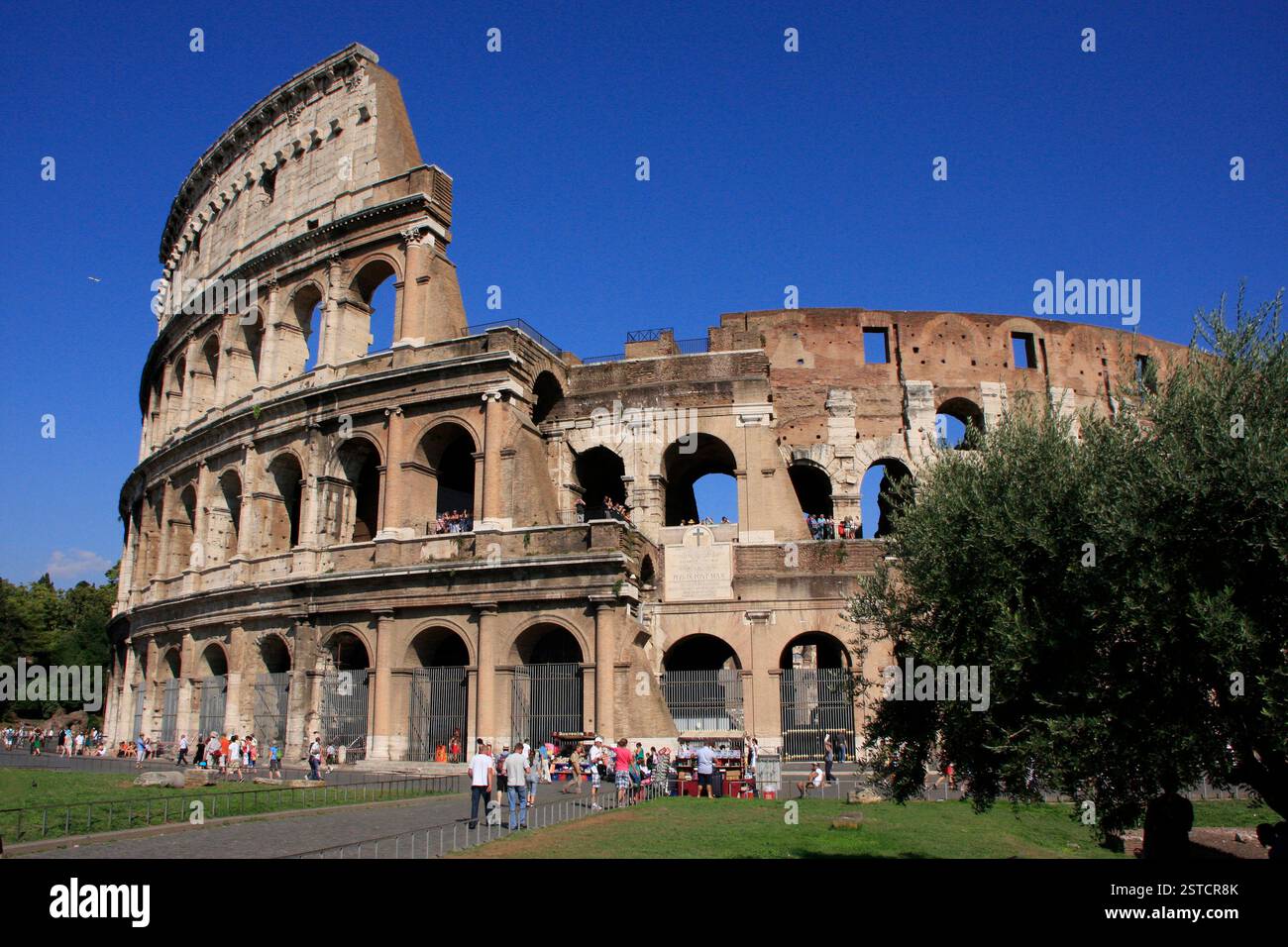 Colosseum of Rome with blue sky, Italy Stock Photo - Alamy