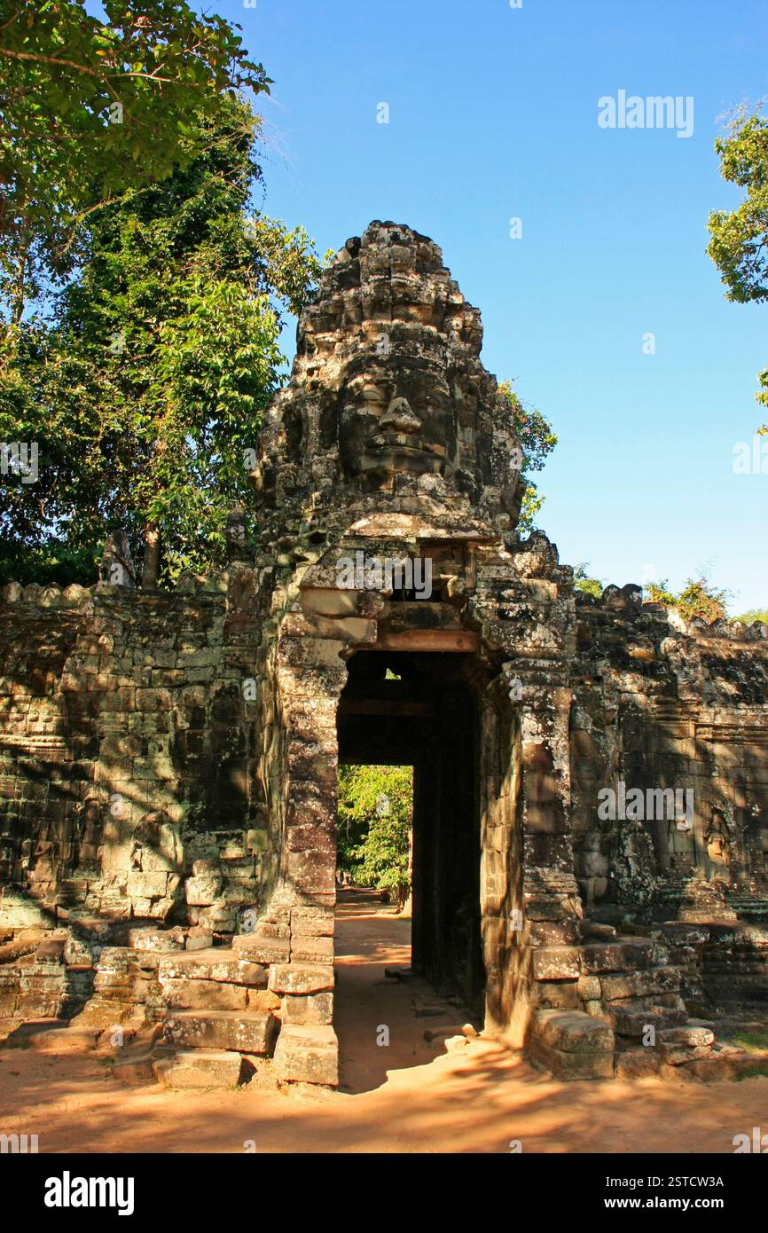 Gate entrance tree plant hi-res stock photography and images - Alamy
